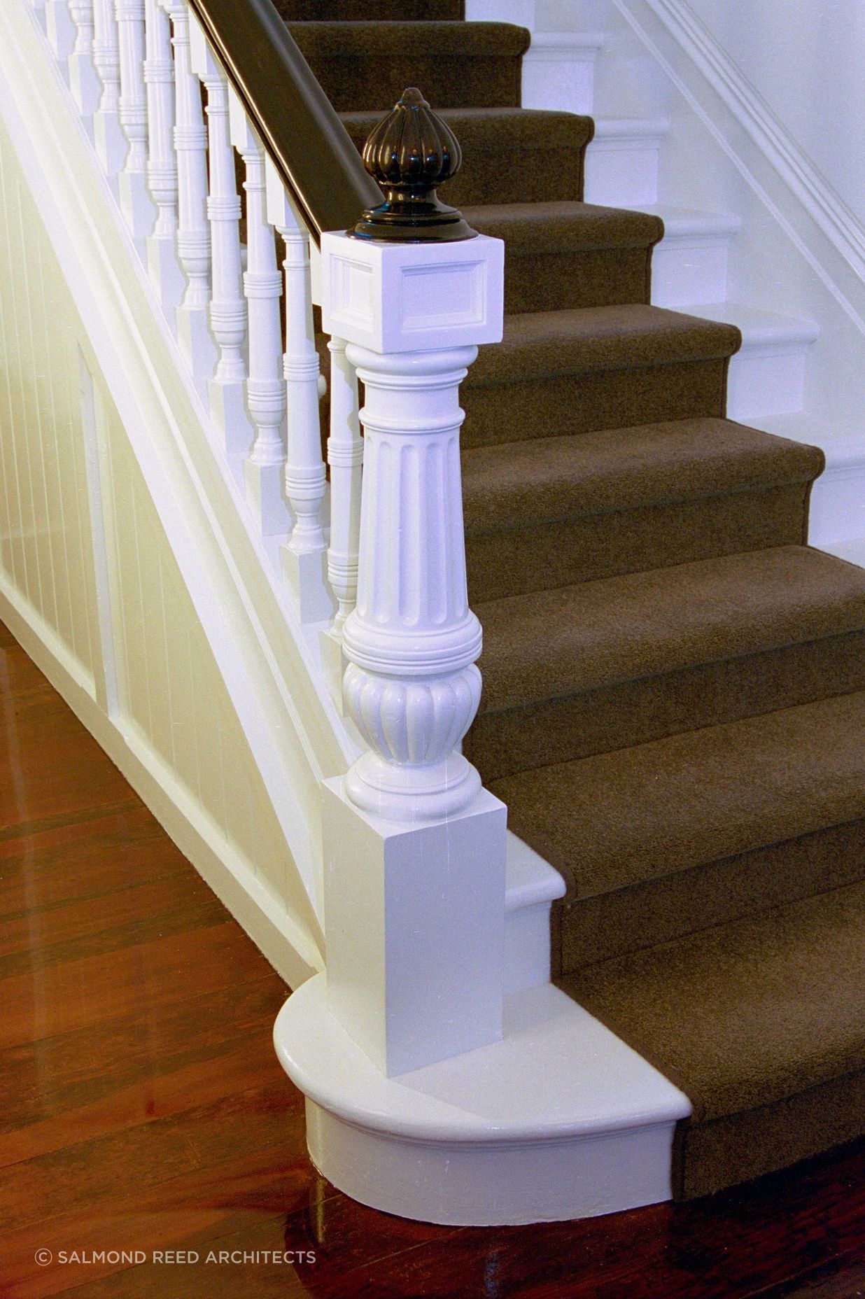 Papillon House by Salmond Reed Architects | ArchiPro NZ