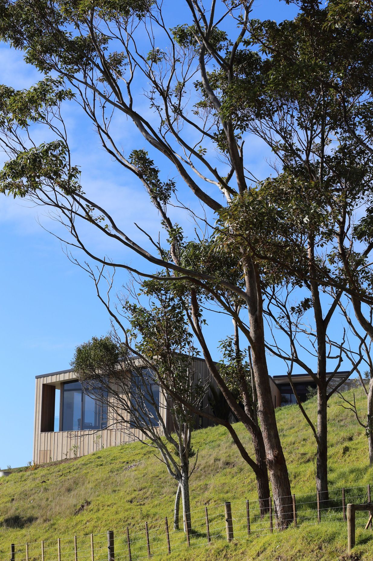 House At Langs Beach by Salmond Reed Architects | ArchiPro NZ