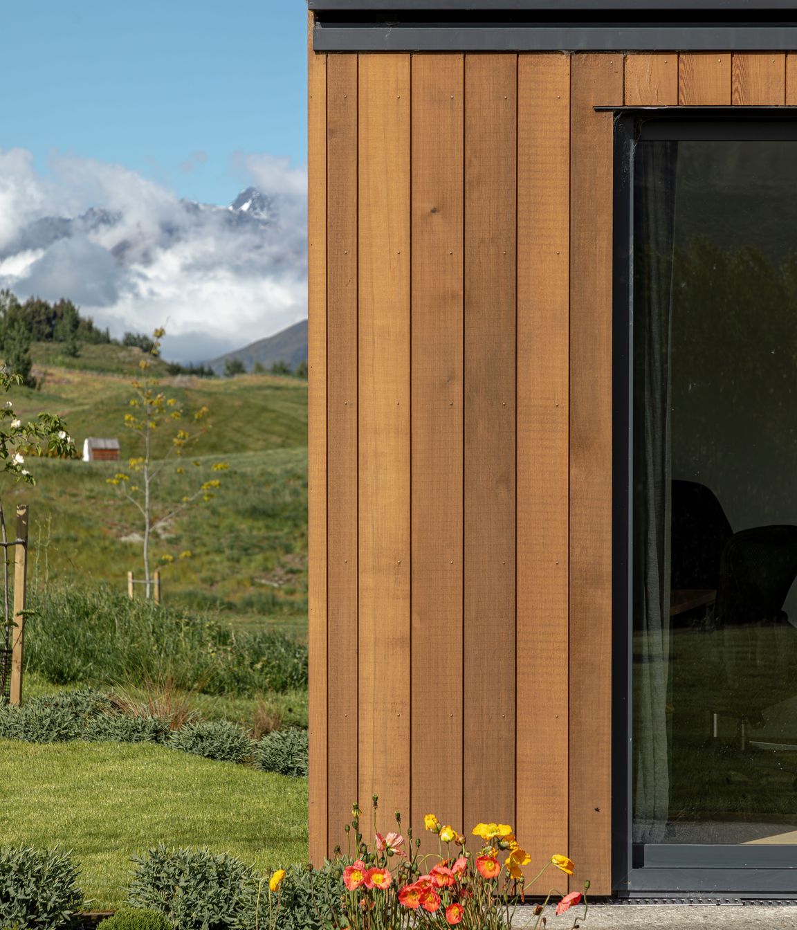 Why Western Red Cedar cladding is having a huge resurgence