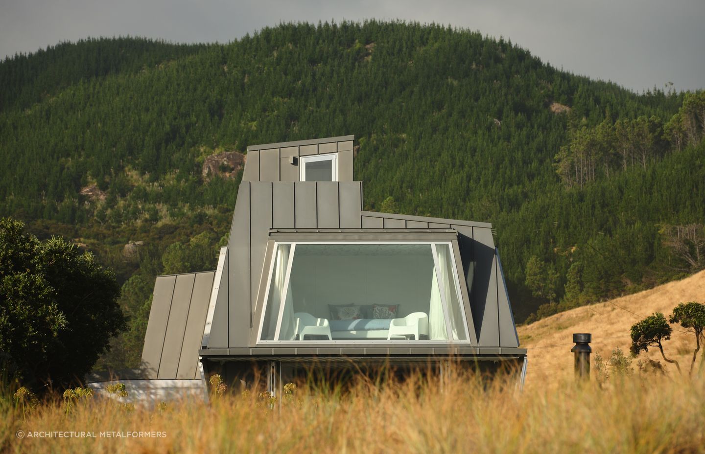 The Pros and Cons of Metal Cladding for New Zealand Homes