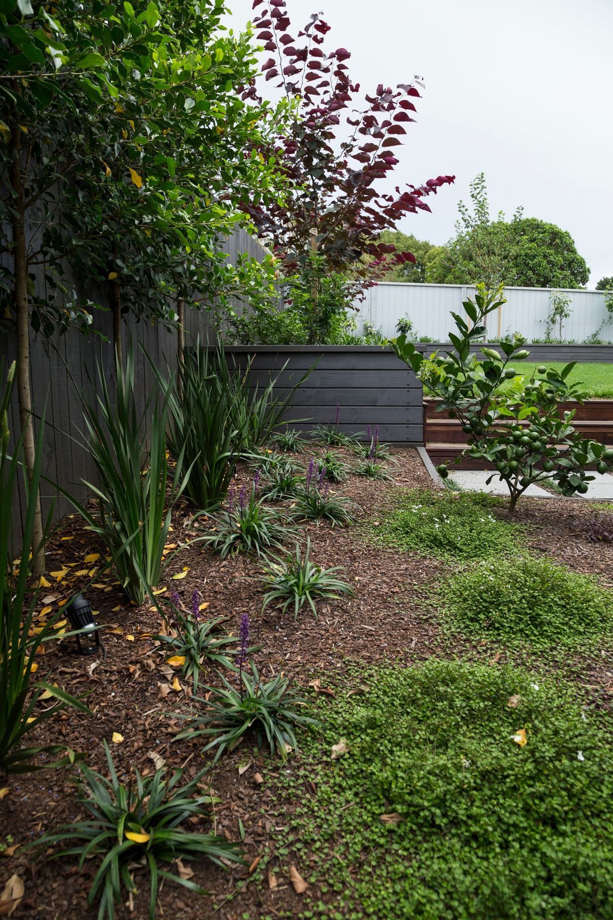 Atanga Avenue by Surround Landscape Architects | ArchiPro NZ
