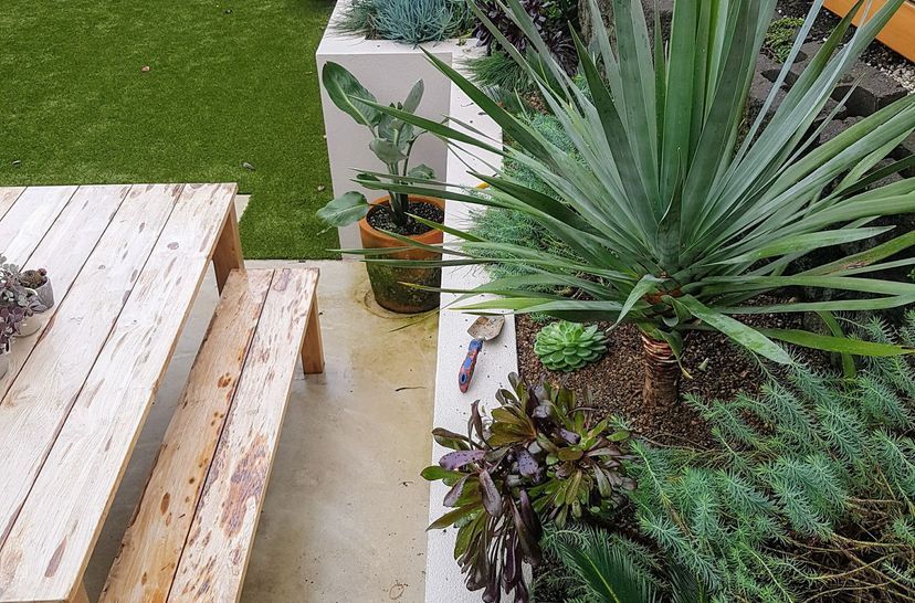 Erin Farrow Landscapes