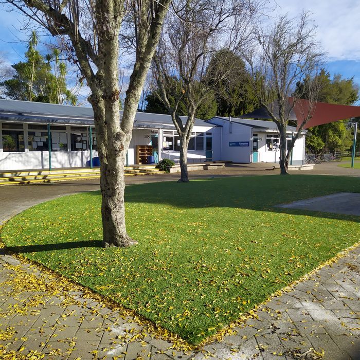 SmartGrass