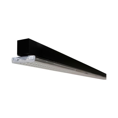 Track Lights - Suspended, Recessed & More | ArchiPro NZ