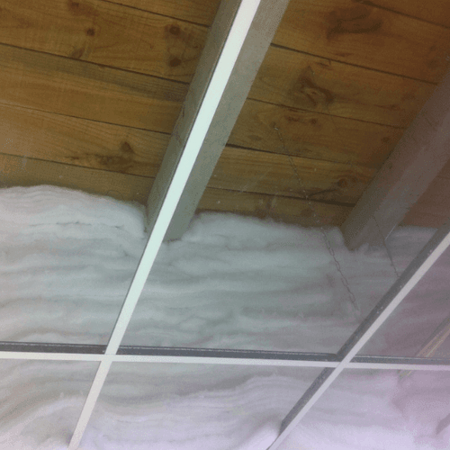 Building Acoustic & Sound Insulation | ArchiPro NZ
