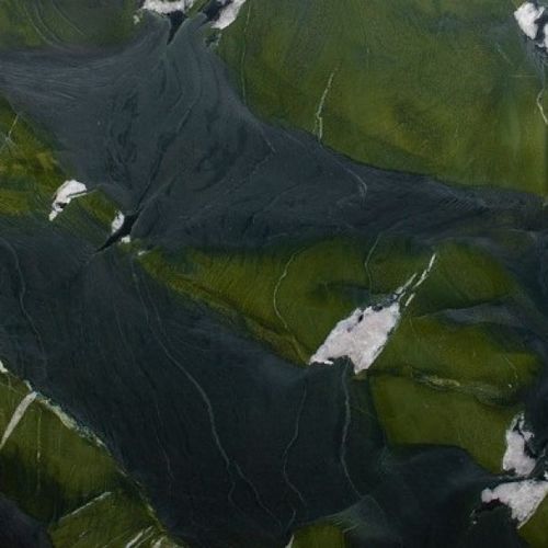 Granite Slabs - Benchtops, Tiles & More | ArchiPro NZ