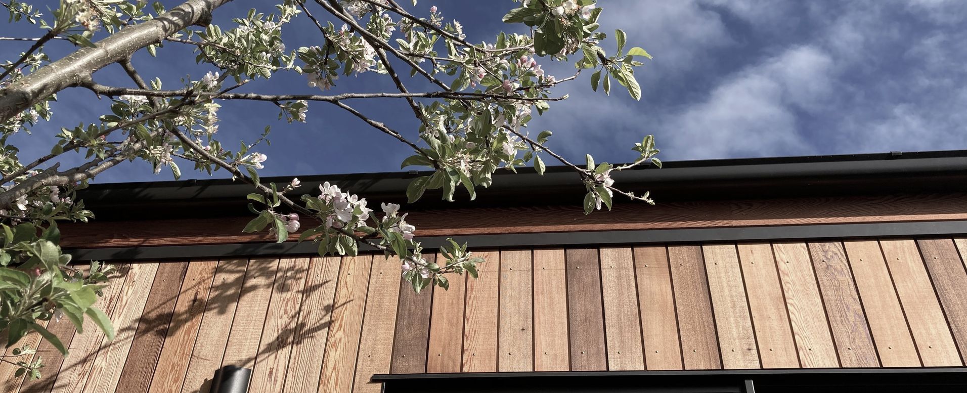 SUR Architecture | ArchiPro NZ