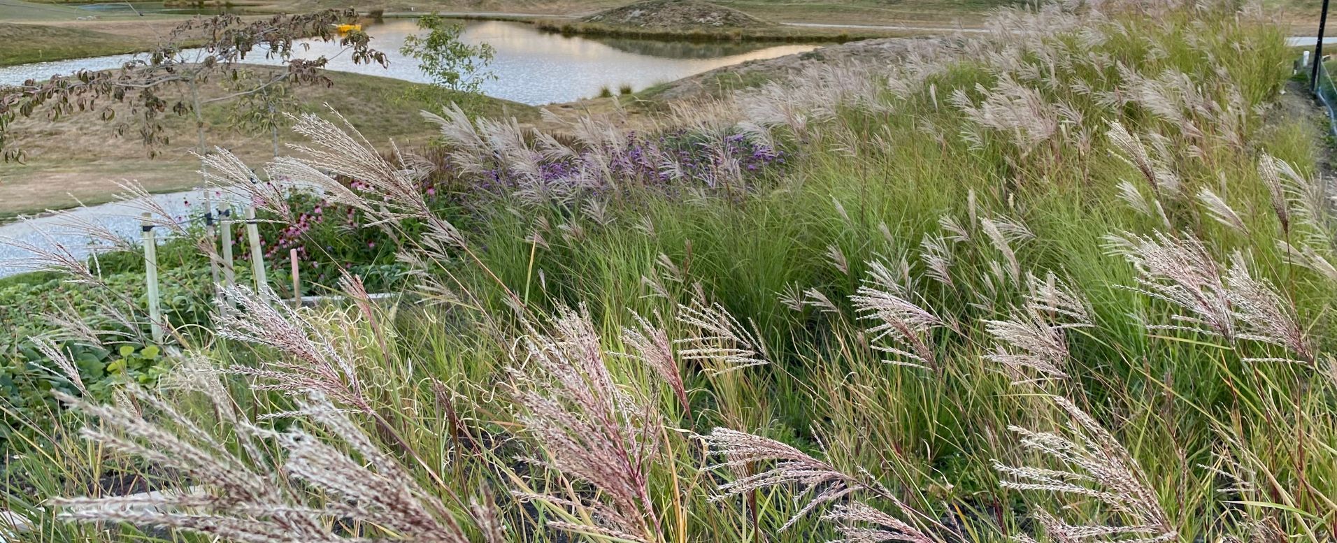 JVB Landscape | ArchiPro NZ