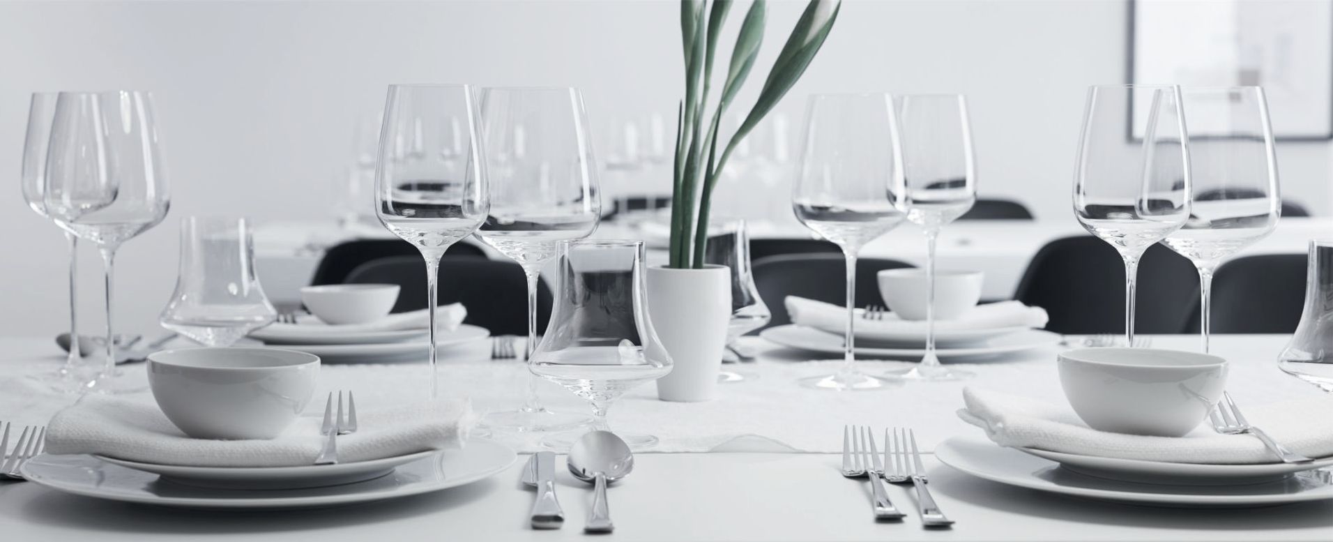 The Studio of Tableware | ArchiPro NZ