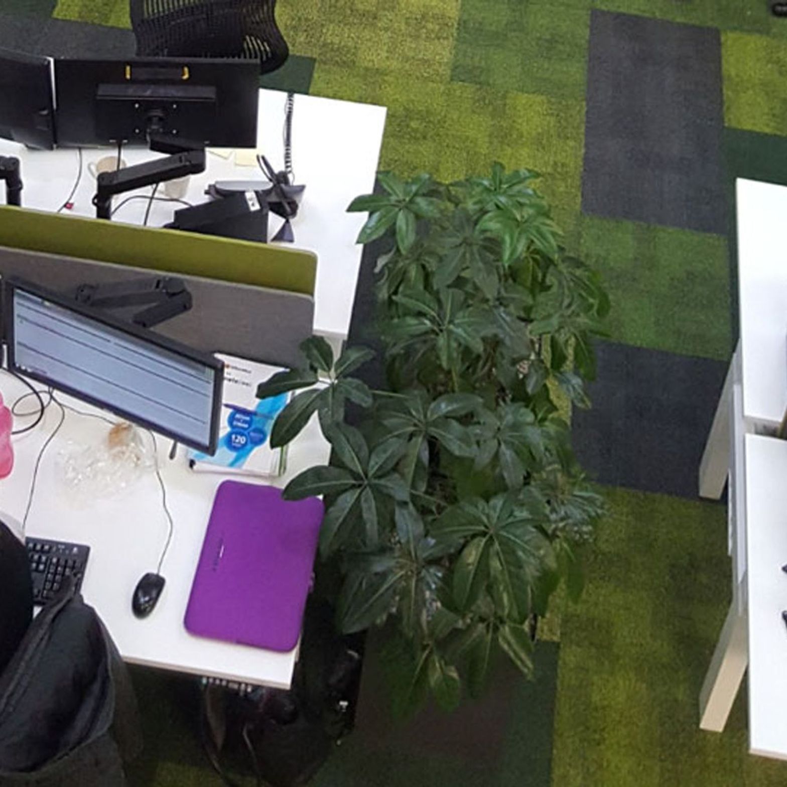 Our Work by BR Flooring LTD | ArchiPro NZ