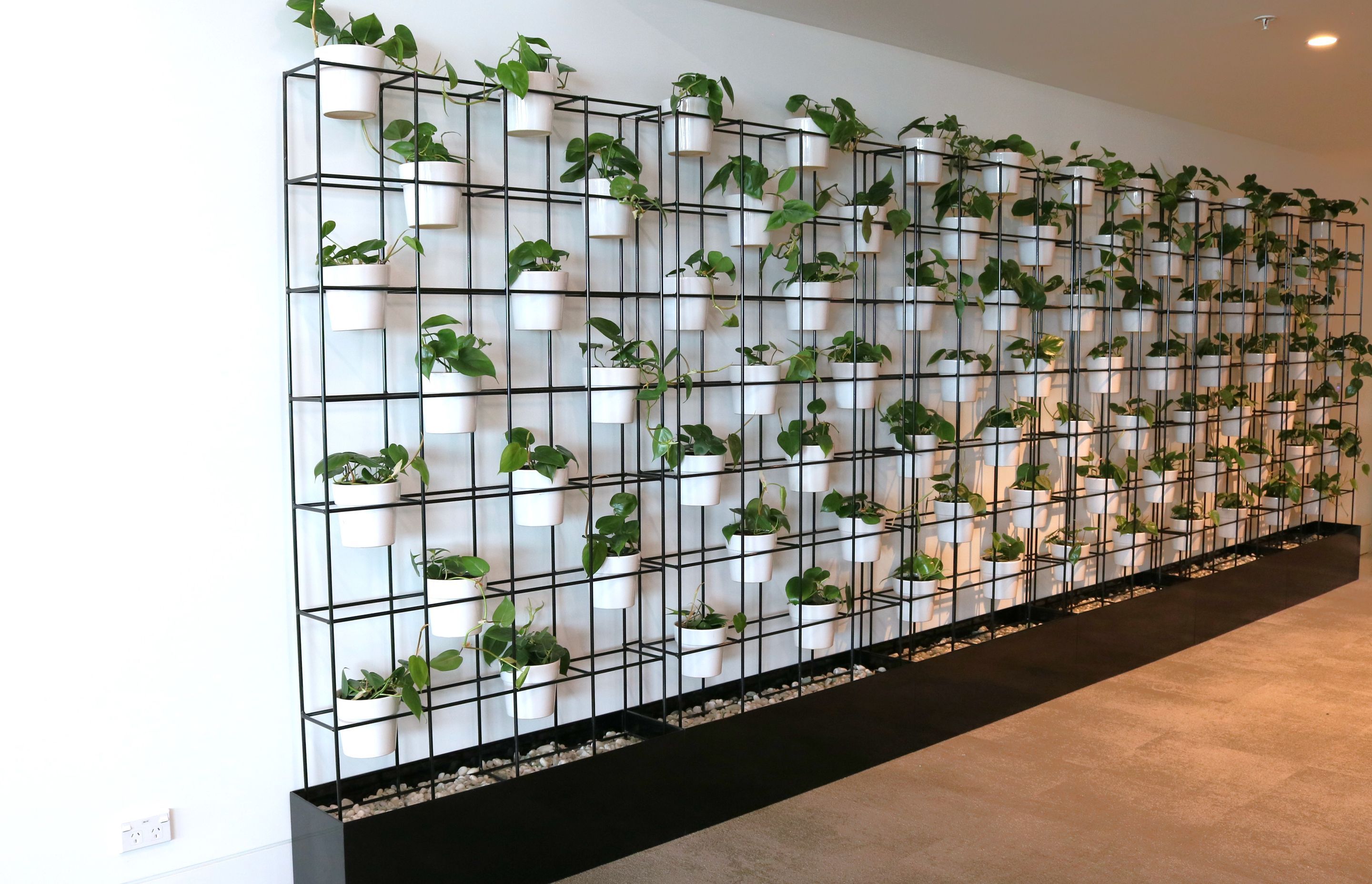 Val Morgan - Grid Frame Installation by Hire Plants | ArchiPro NZ