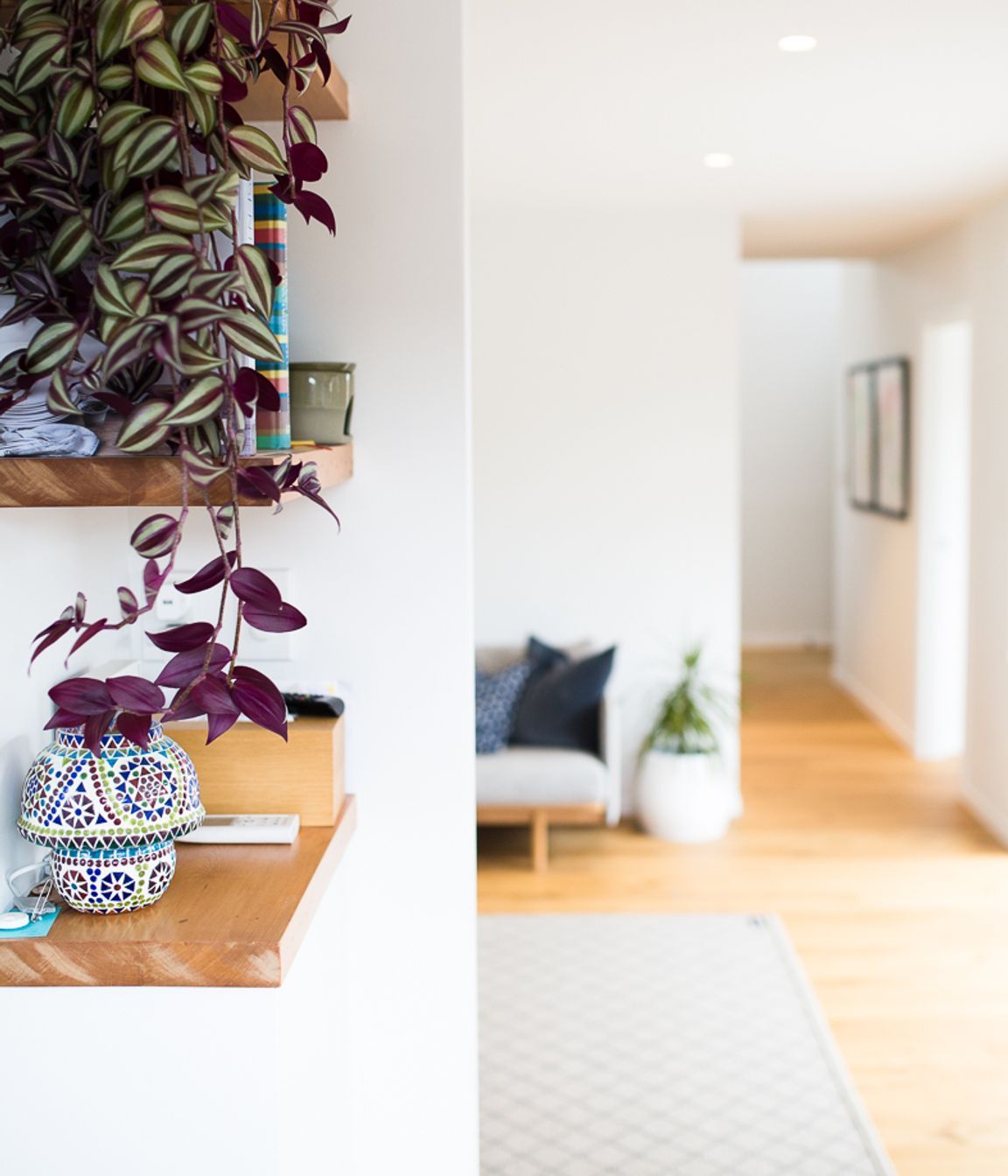 The Right House by AM Architects | ArchiPro NZ