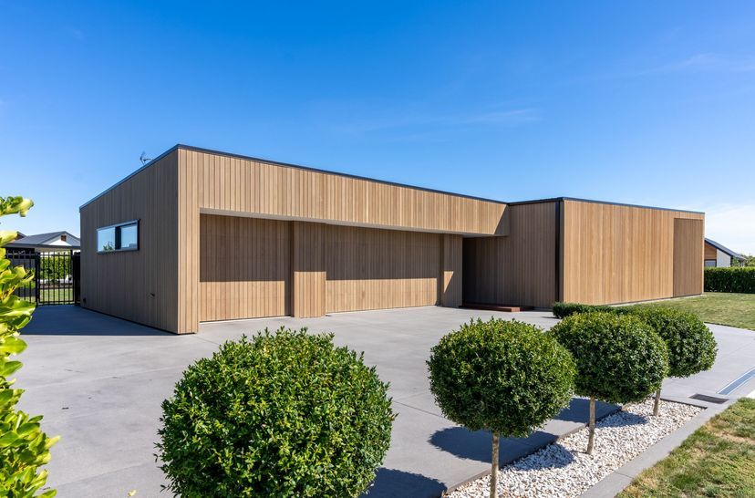 Native Bird Drafting