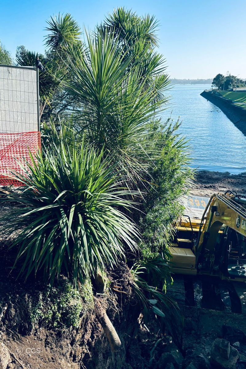 Masefield Avenue - Retaining Walls by CCS | ArchiPro NZ