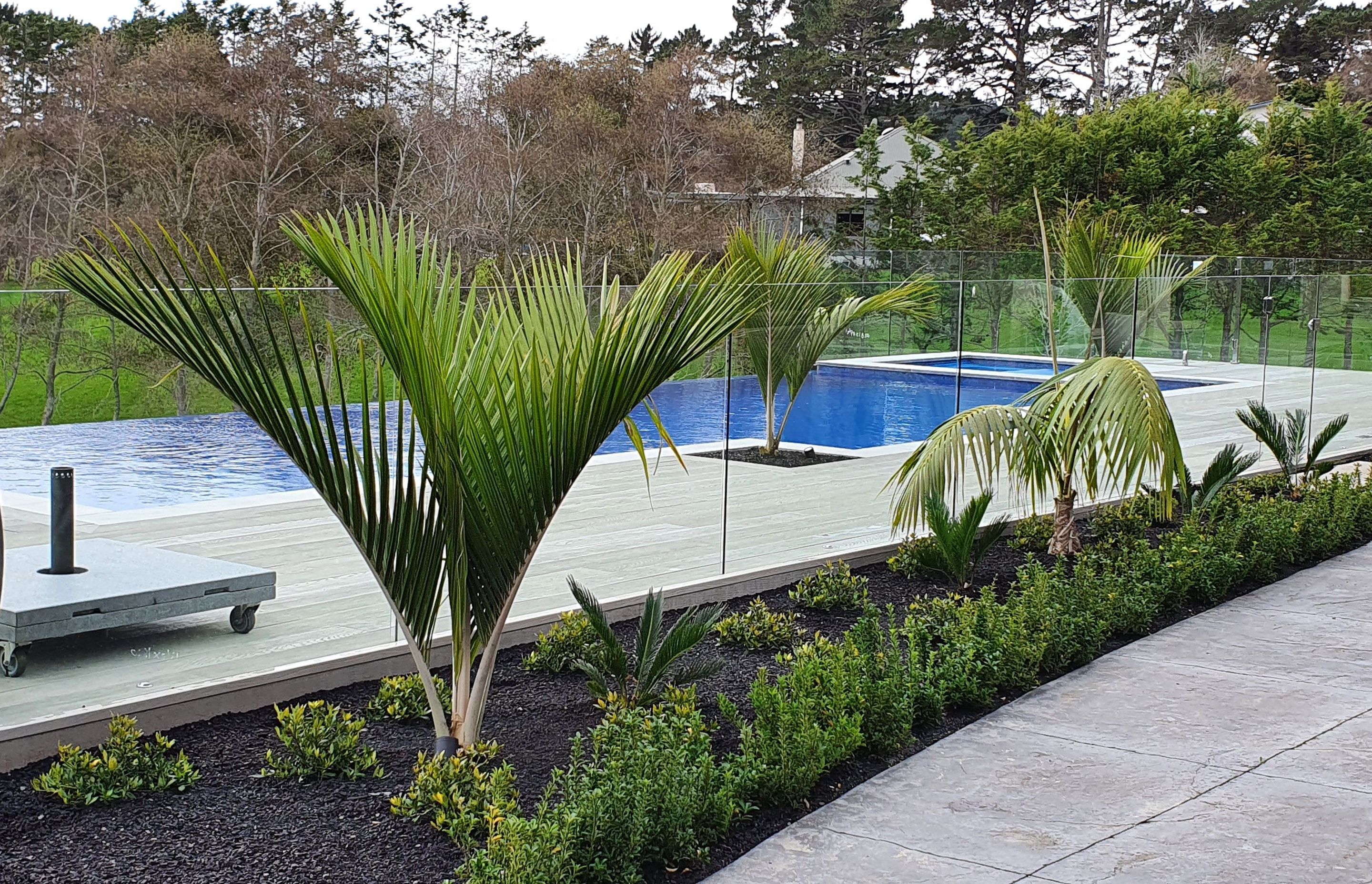 Elmore Road by Erin Farrow Landscapes | ArchiPro NZ