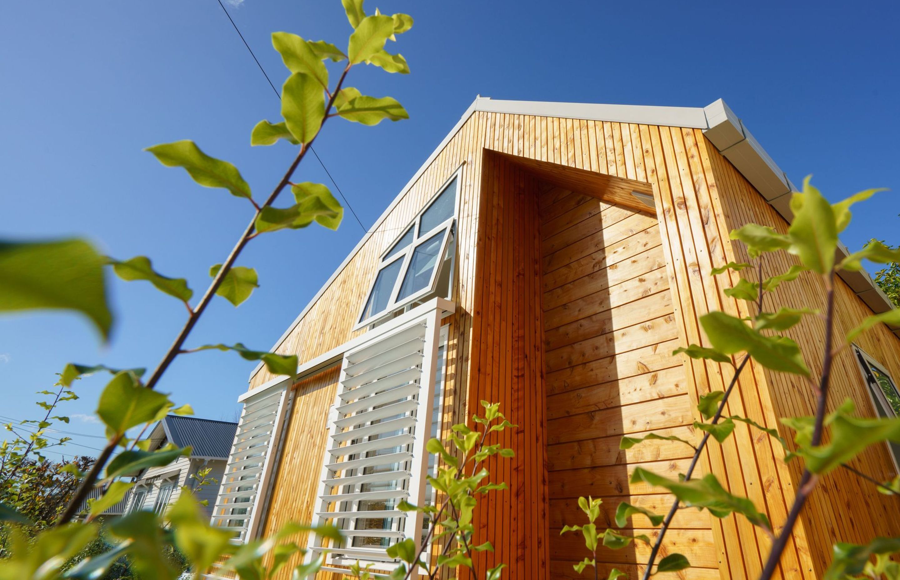 Tui by FTB Construction | ArchiPro NZ