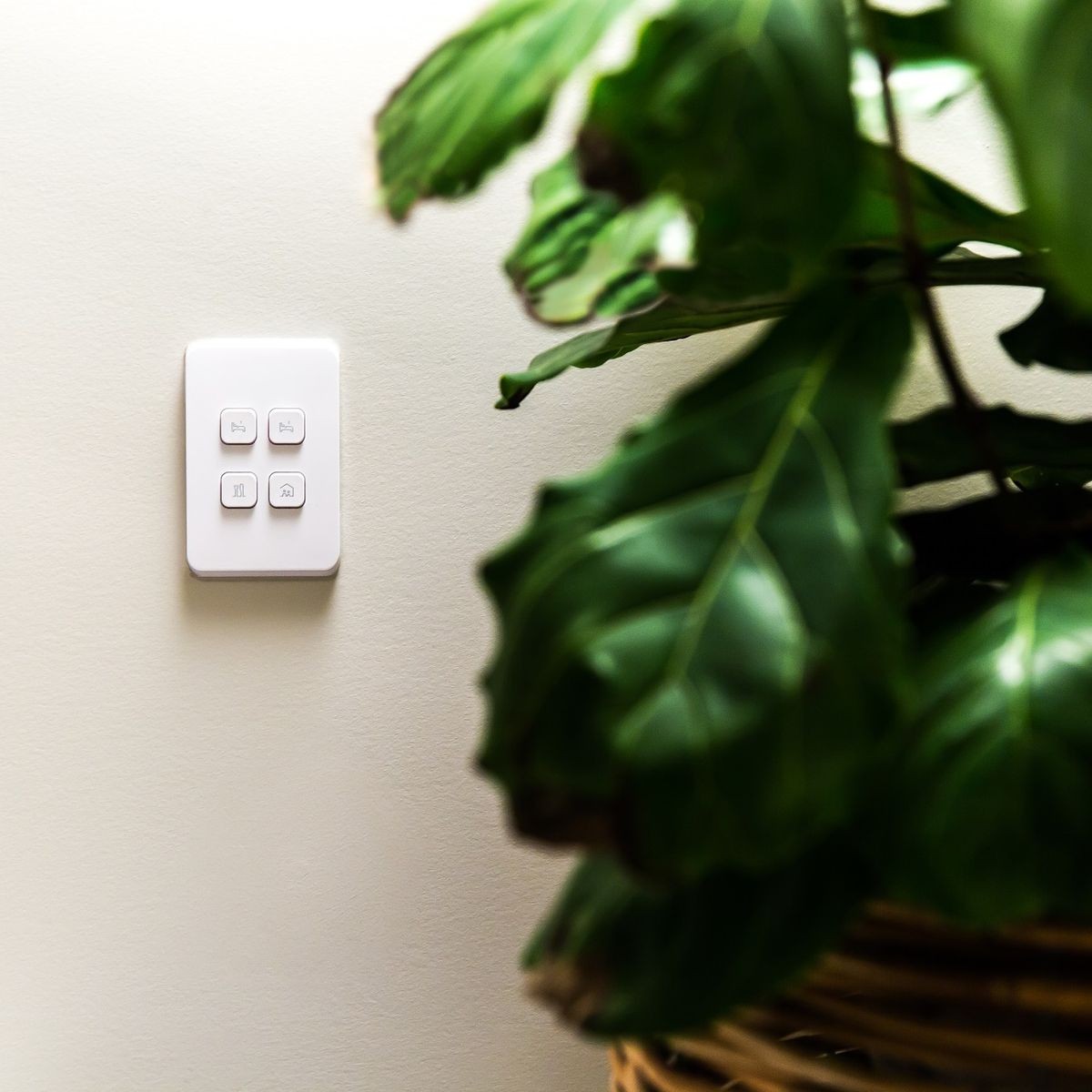 pdl iconic light switch