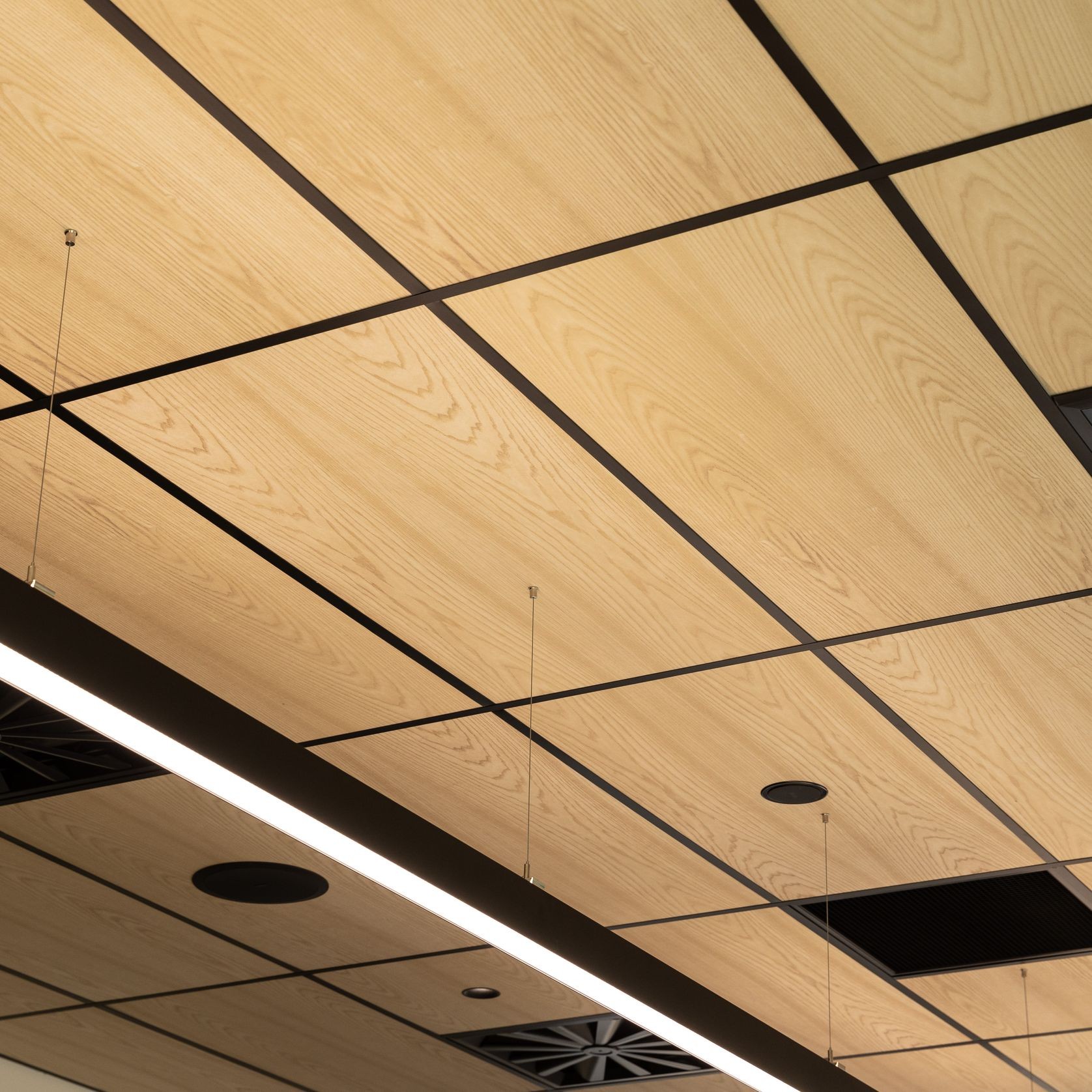 Acoustic Timber™ | ArchiPro NZ