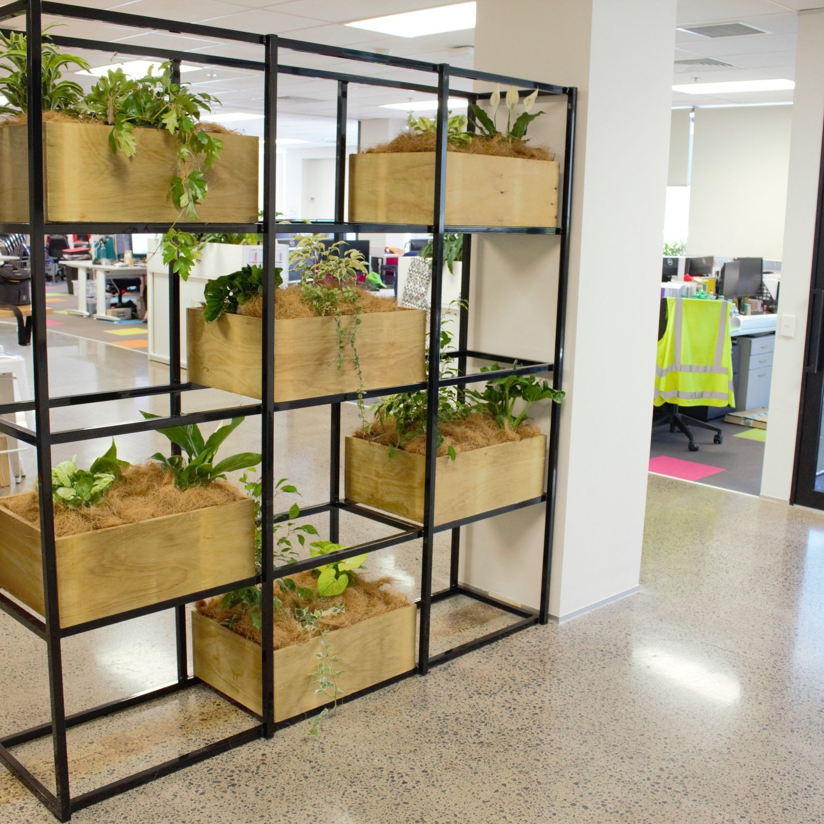 Vertical Live Plant Installations | ArchiPro NZ