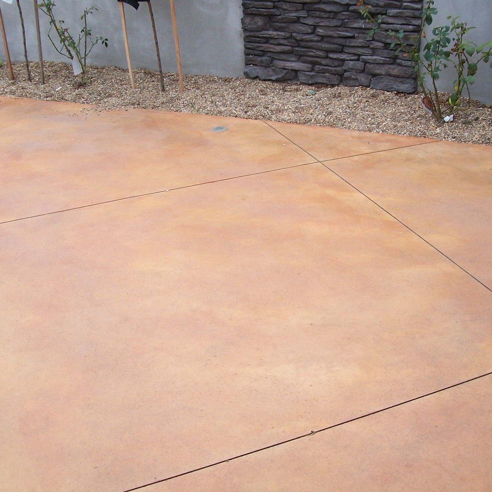 Residential Coloured Concrete | ArchiPro NZ
