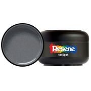 Resene Roof Metallic Bright Grey | ArchiPro NZ