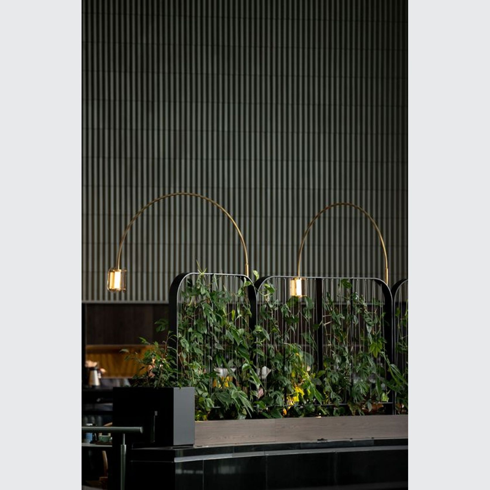 Green Screens | ArchiPro NZ