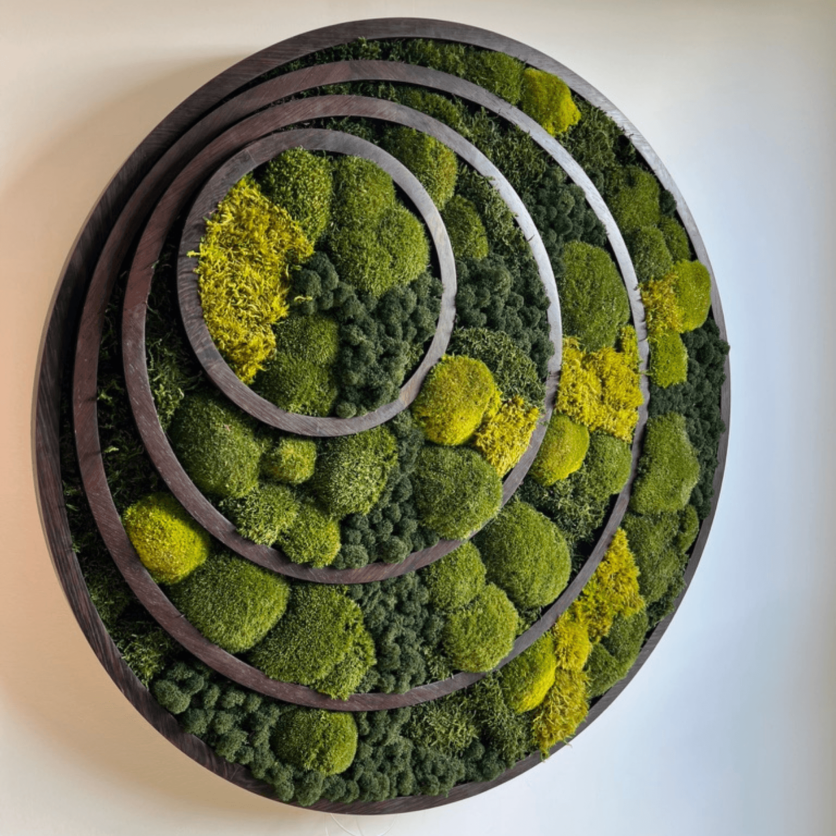 Forest Halo Wall Art by Gaea | ArchiPro NZ