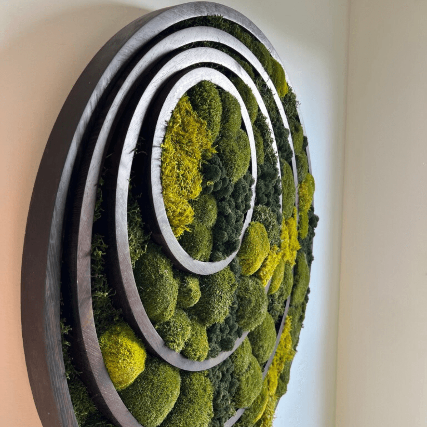 Forest Halo Wall Art by Gaea | ArchiPro NZ