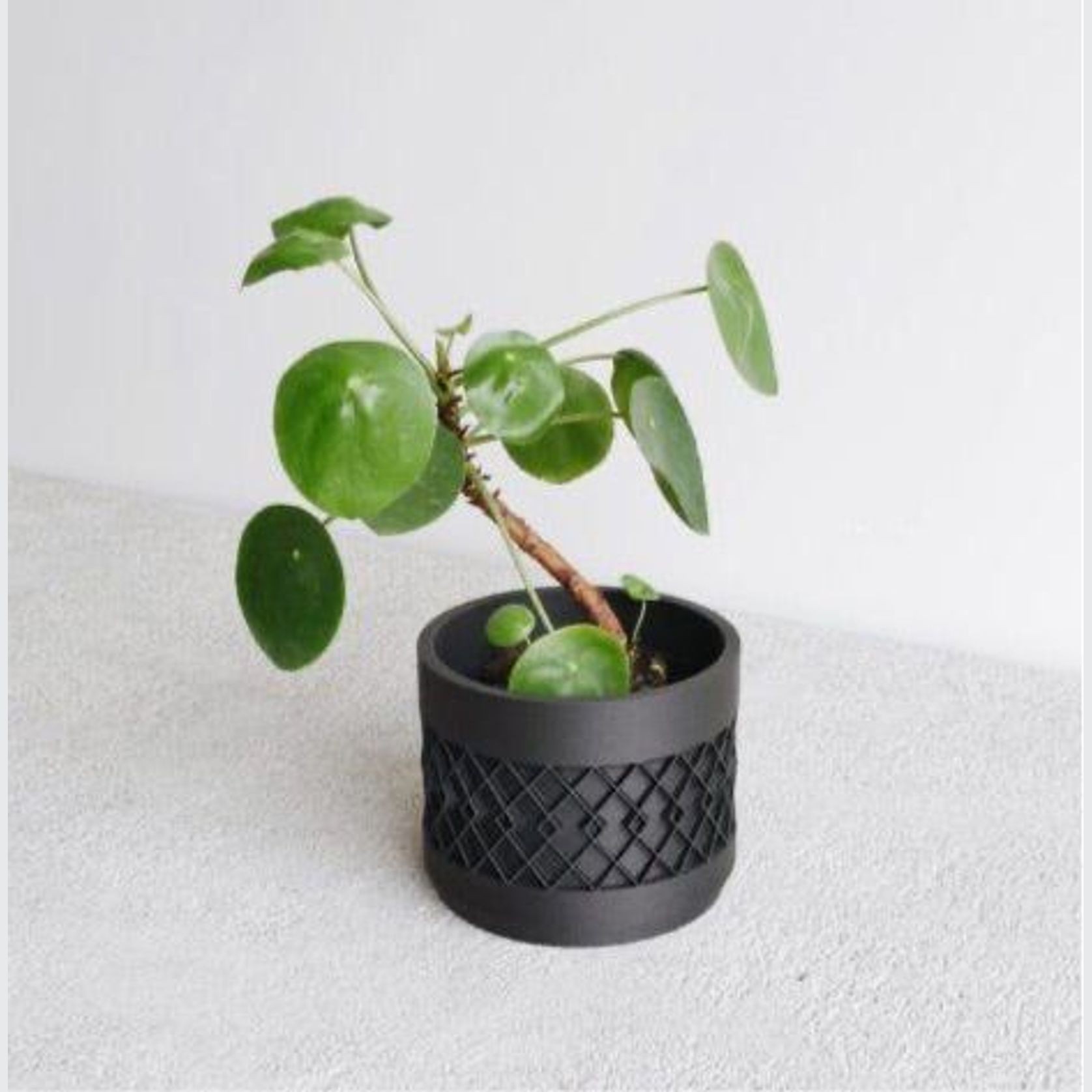 Aztek Black Planter | ArchiPro NZ
