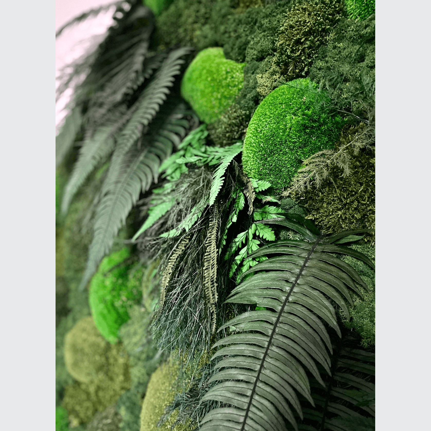 Round Moss Wall Art - Dark Forest | ArchiPro NZ
