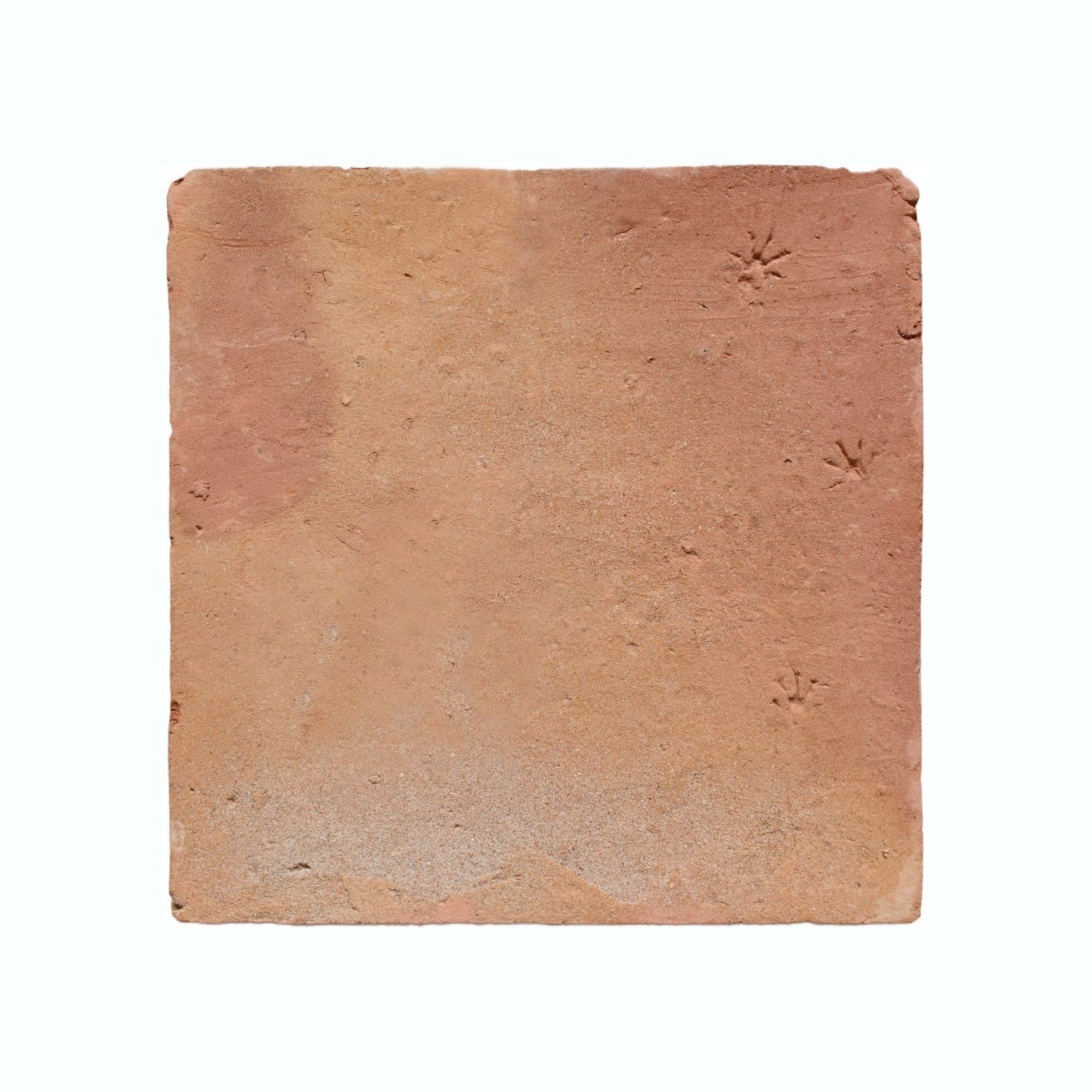 Eco Terra Square 200 | Perini Tiles | ArchiPro NZ