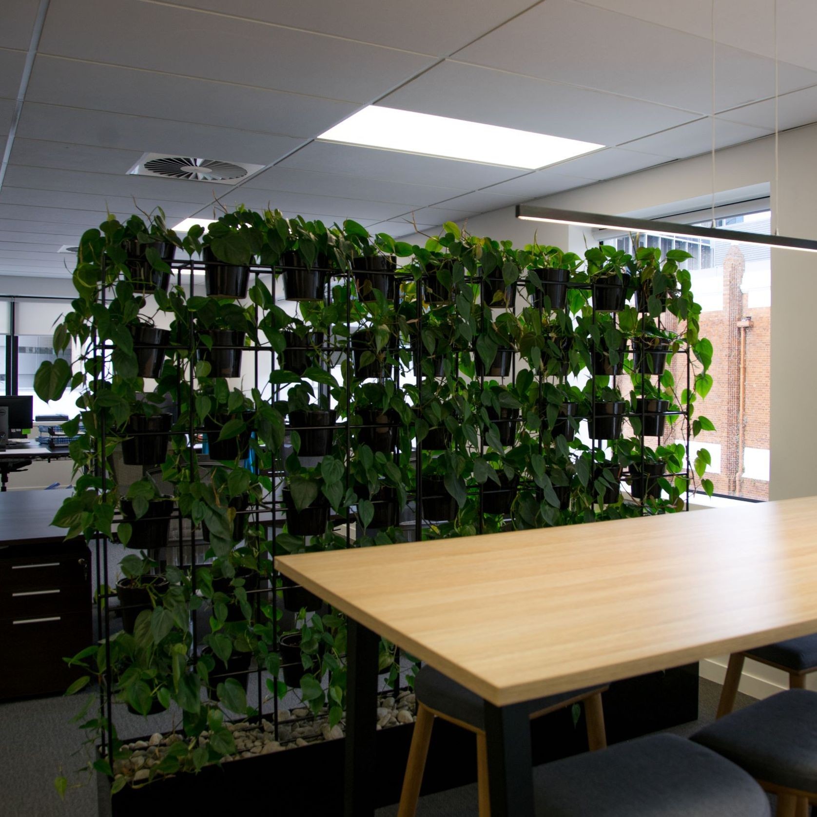 Plant Grid Frames | Hire Plants | ArchiPro NZ