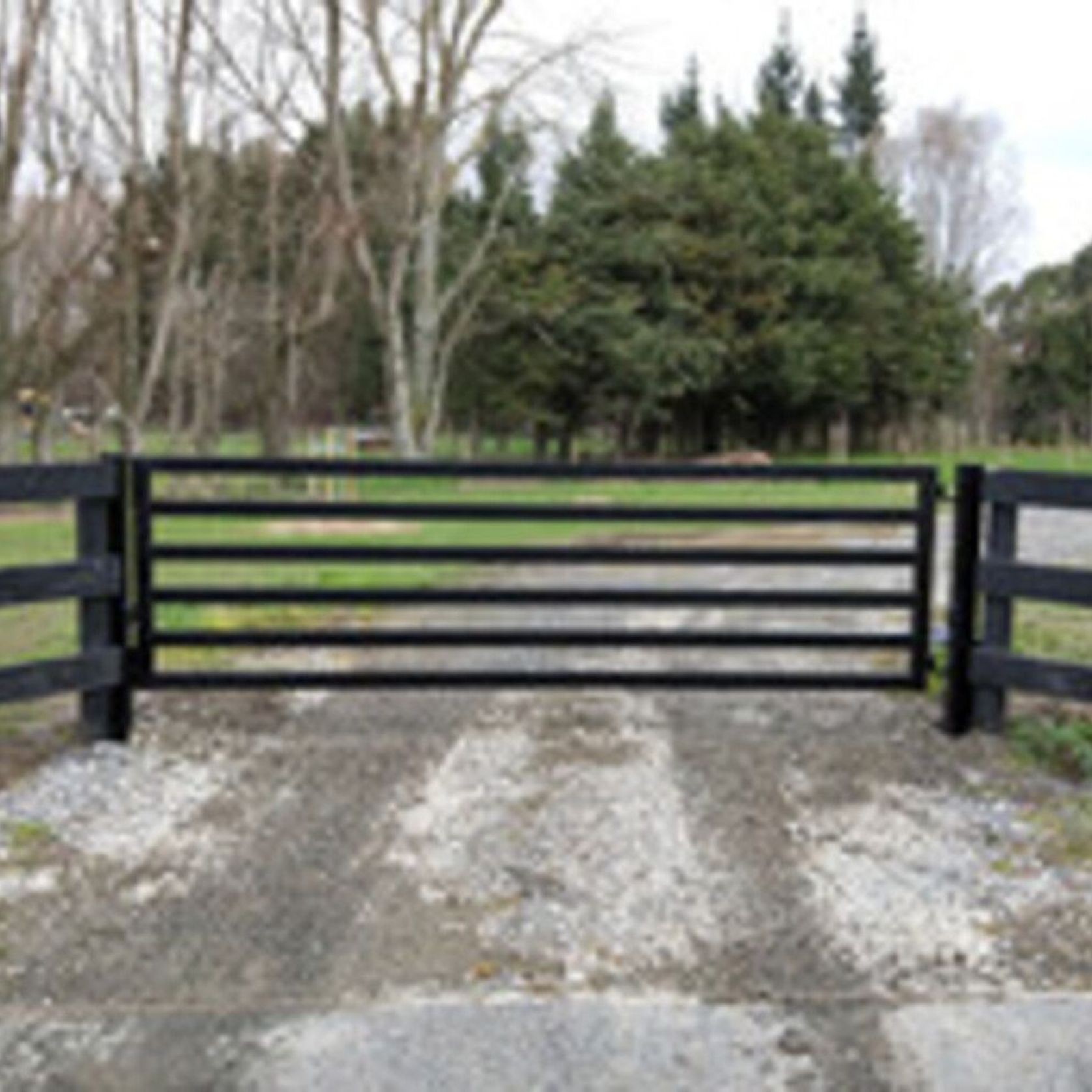 Custom Gates | ArchiPro NZ