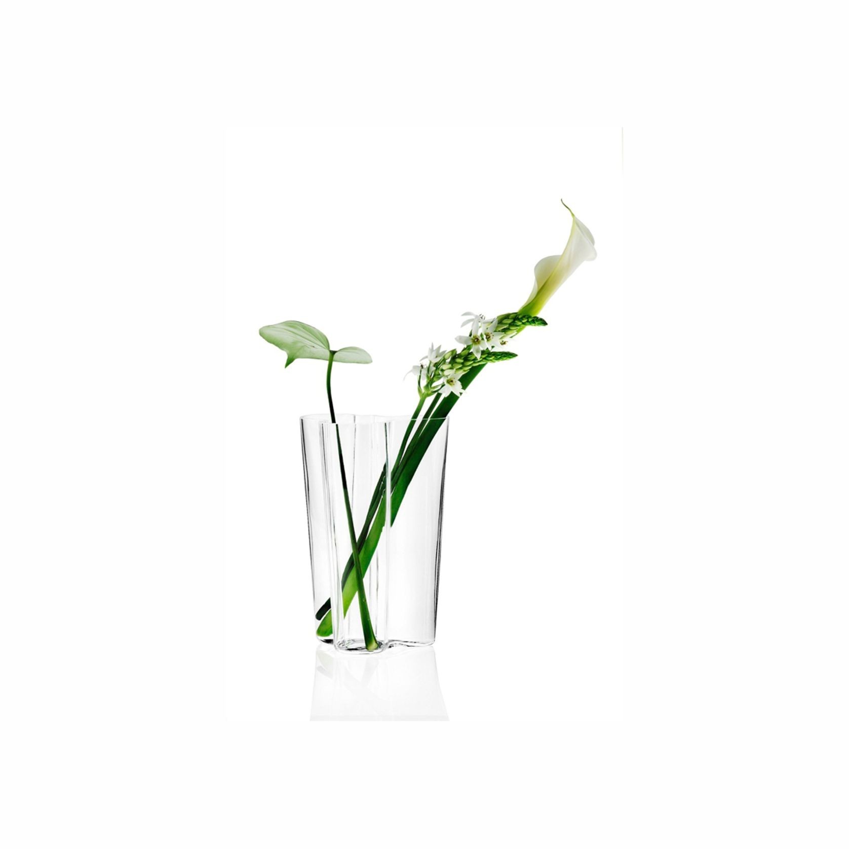 Aalvar Aalto Vases | ArchiPro NZ