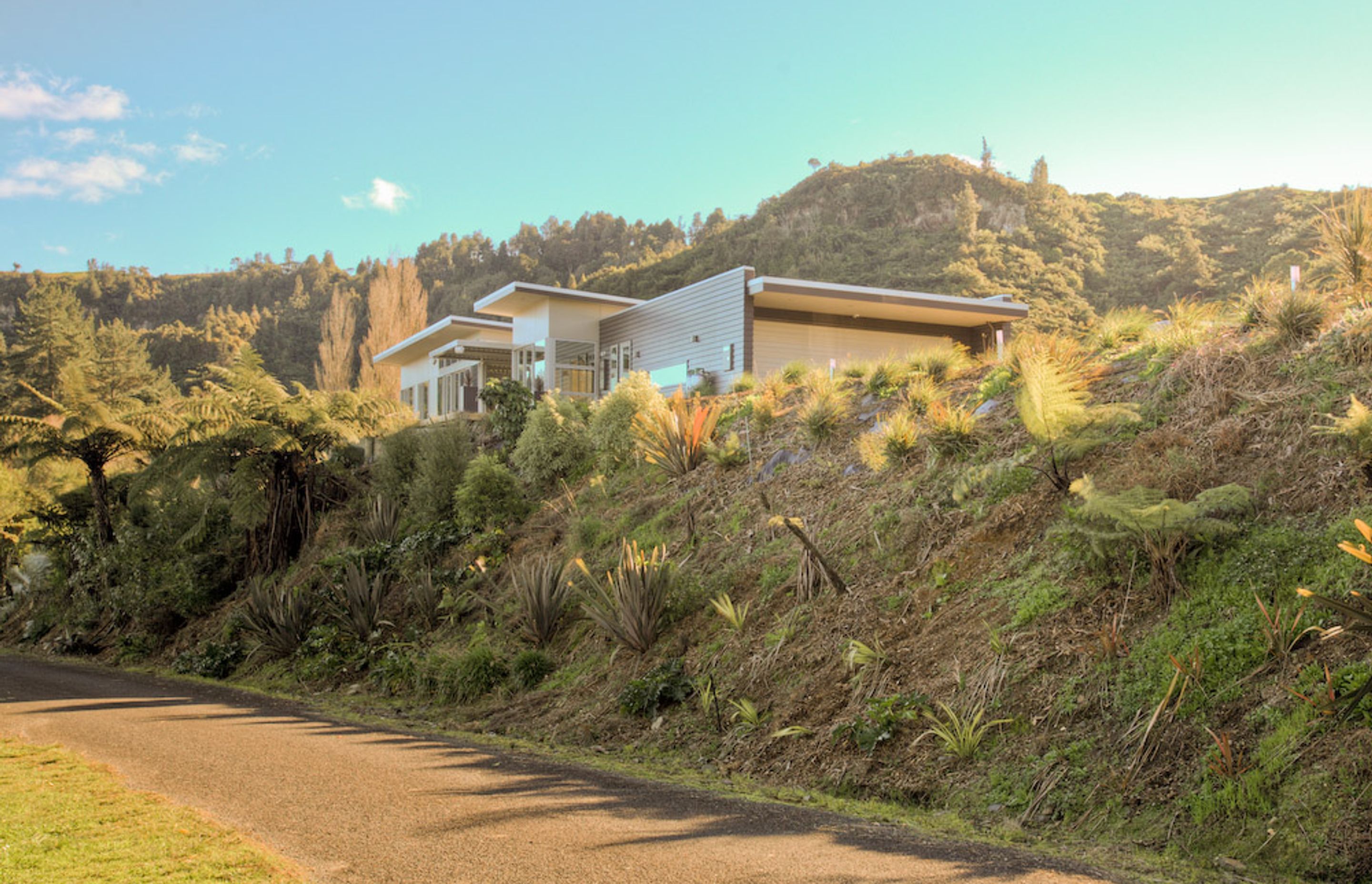 Bunyard Residence by Creative Arch | ArchiPro NZ