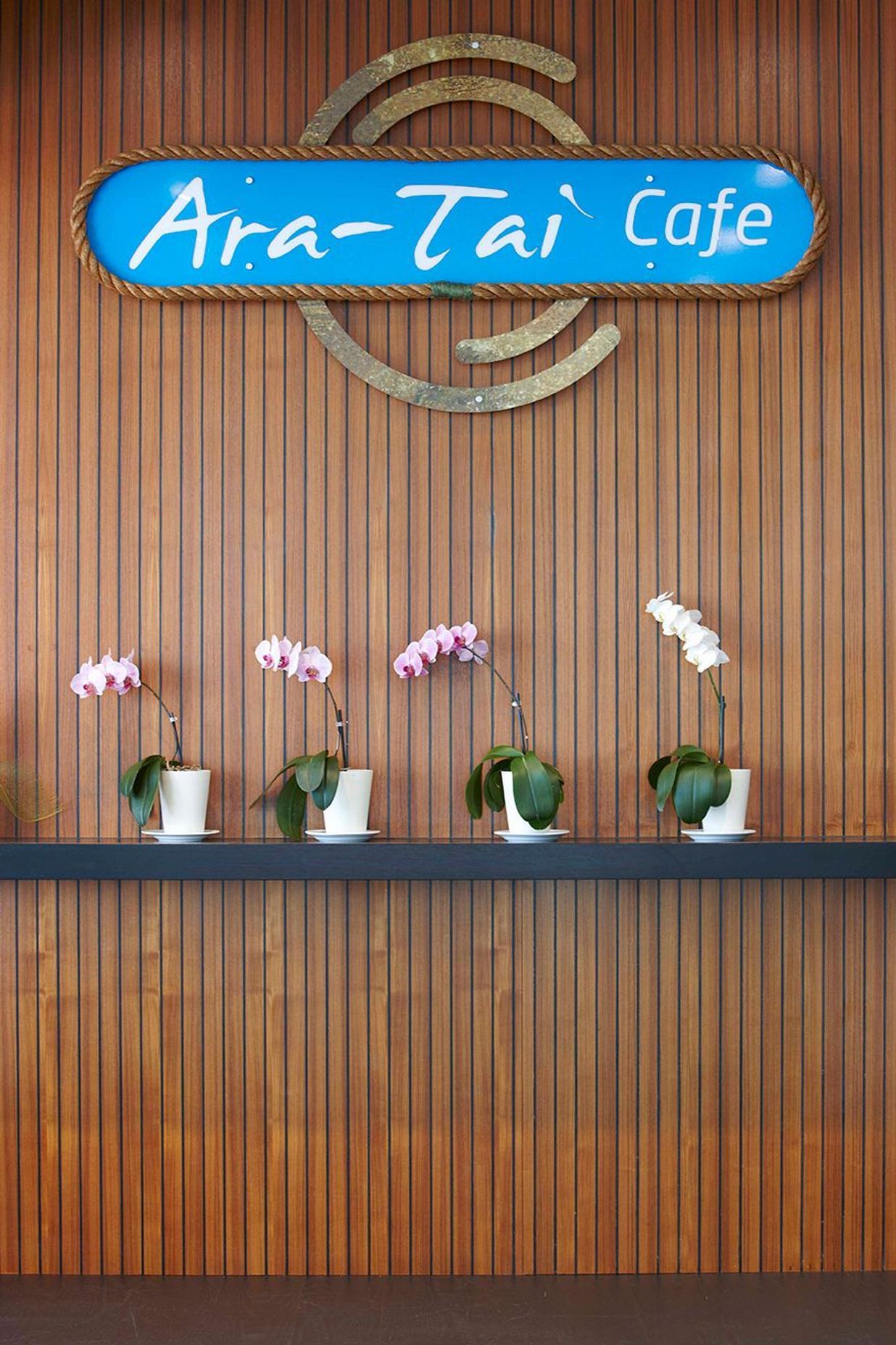 Ara Tai Caffe by Godward Designspace | ArchiPro NZ
