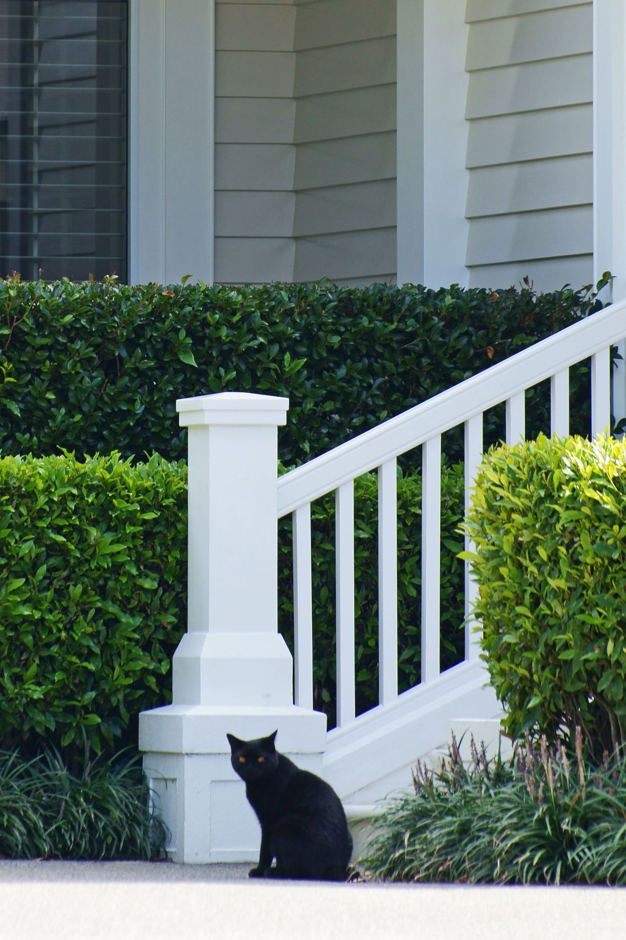 Takapuna House Alterations by Salmond Reed Architects | ArchiPro NZ