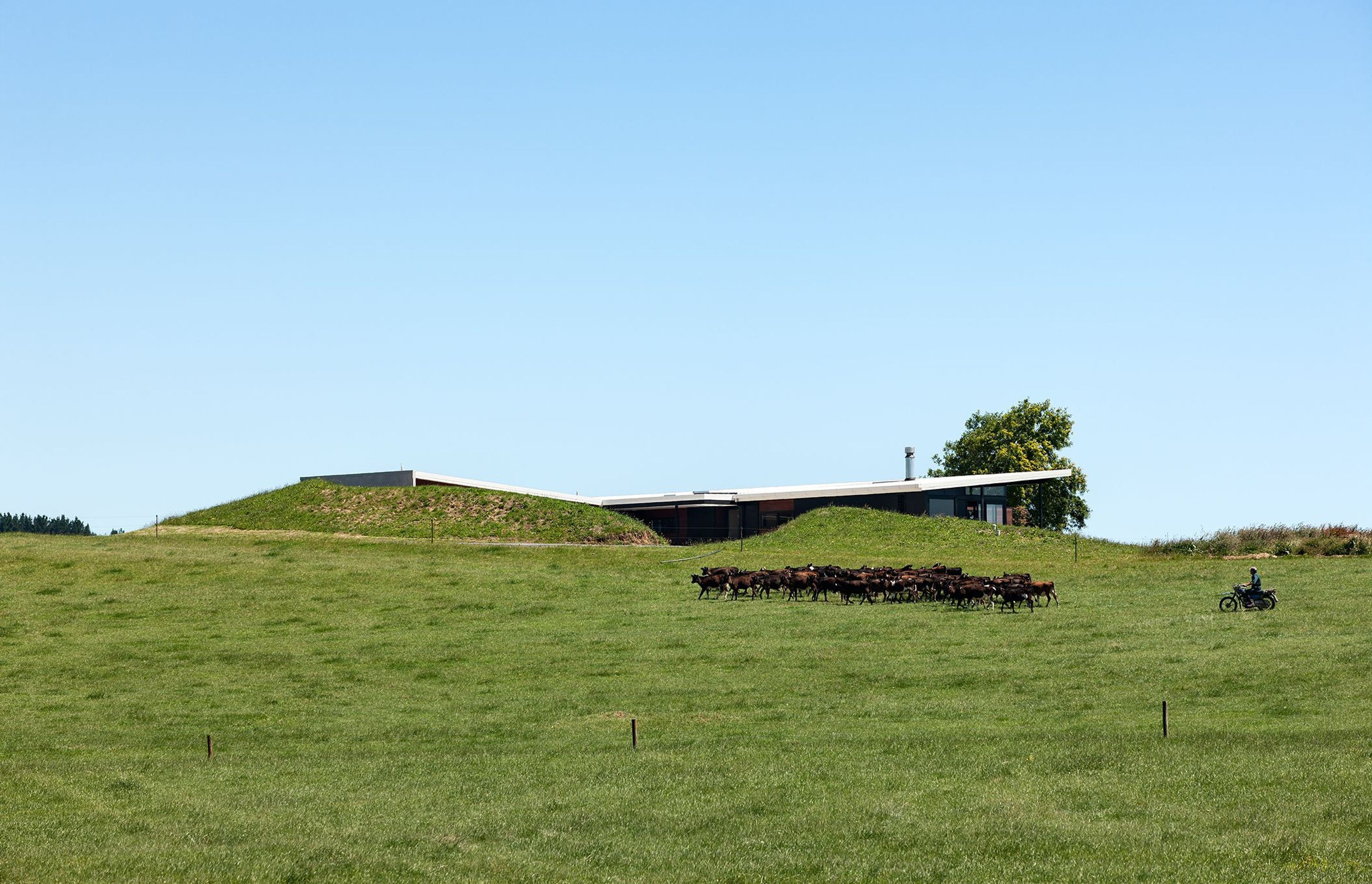 Ngatea House by Malcolm Taylor Architects | ArchiPro NZ