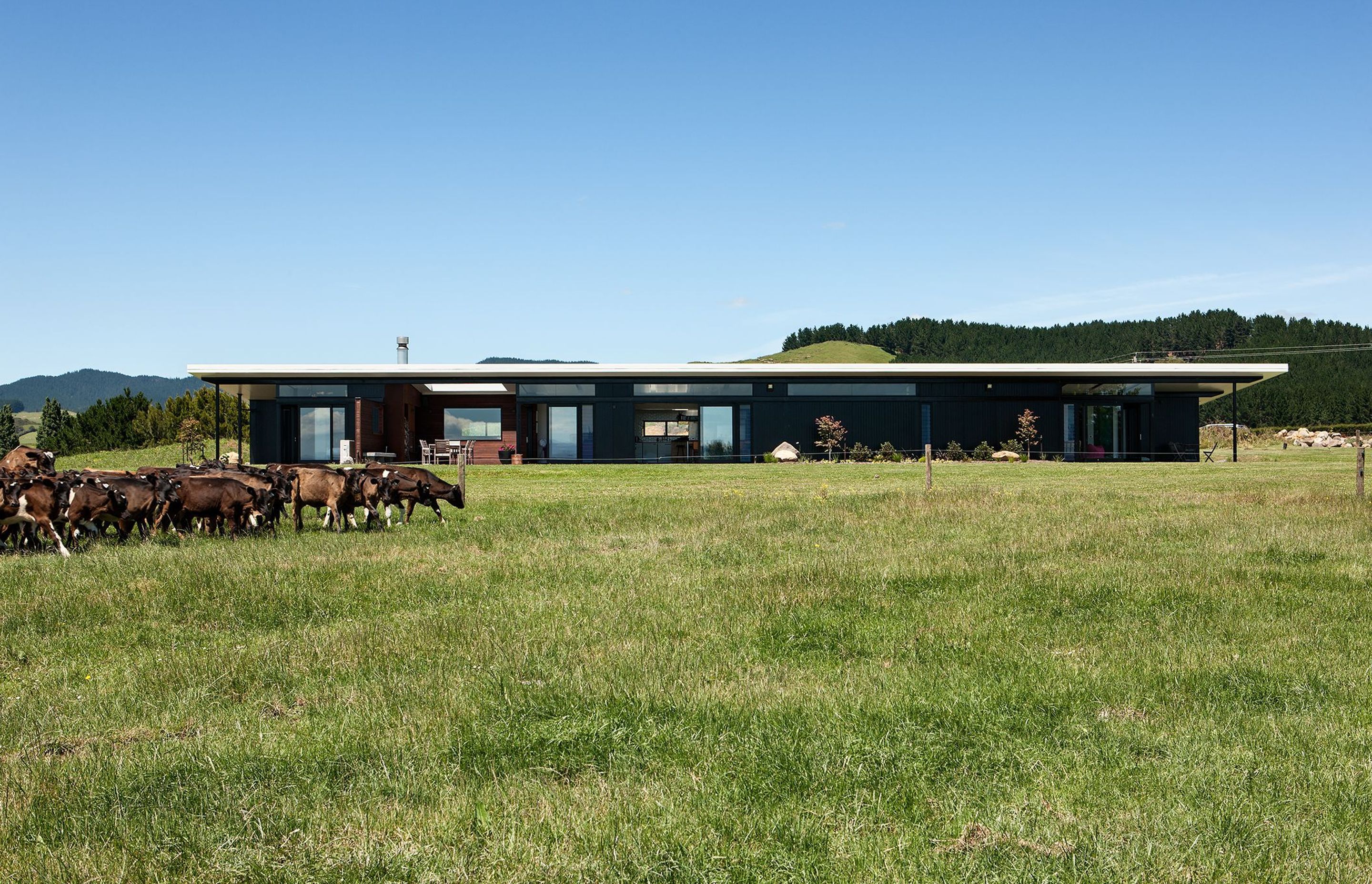 Ngatea House by Malcolm Taylor Architects | ArchiPro NZ