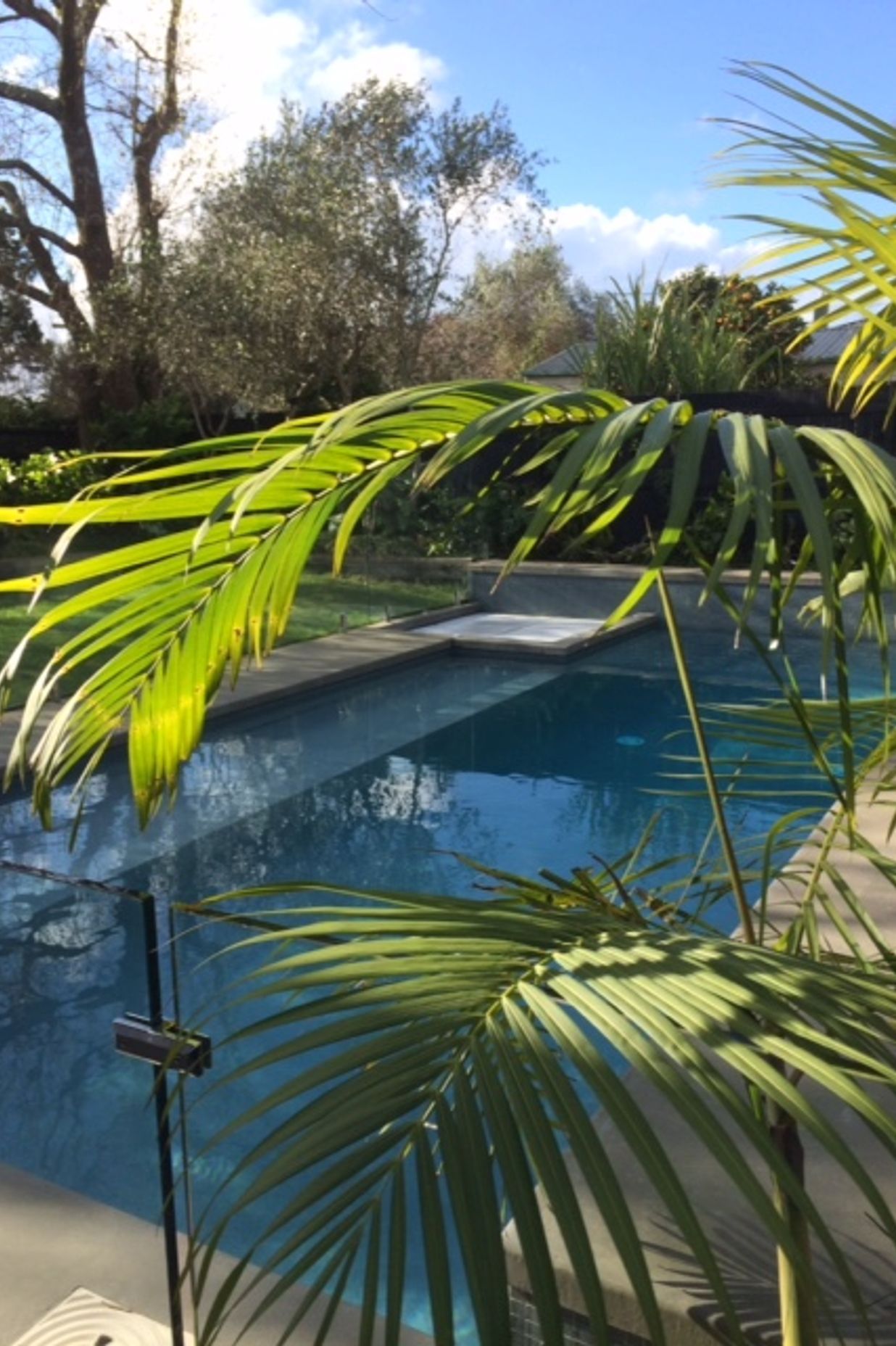 Rama Road by Auckland Inground Pools | ArchiPro NZ