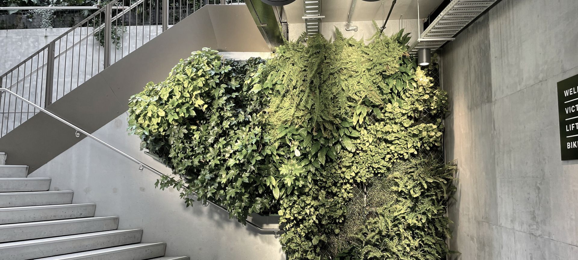 The green tech changing our urban landscape: how to use it in your ...