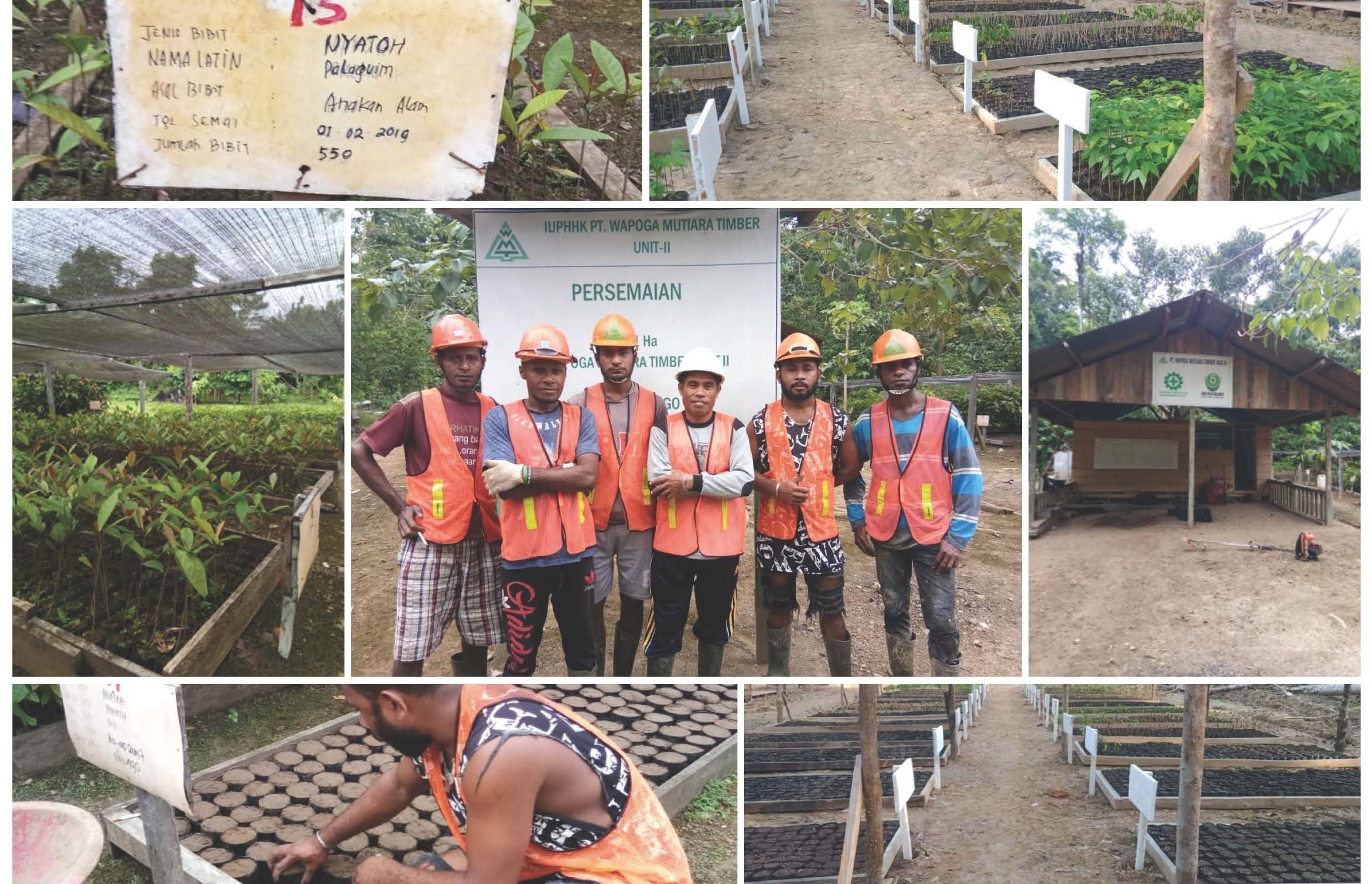 ITI Timspec Facts ITI Timspec | ArchiPro NZ