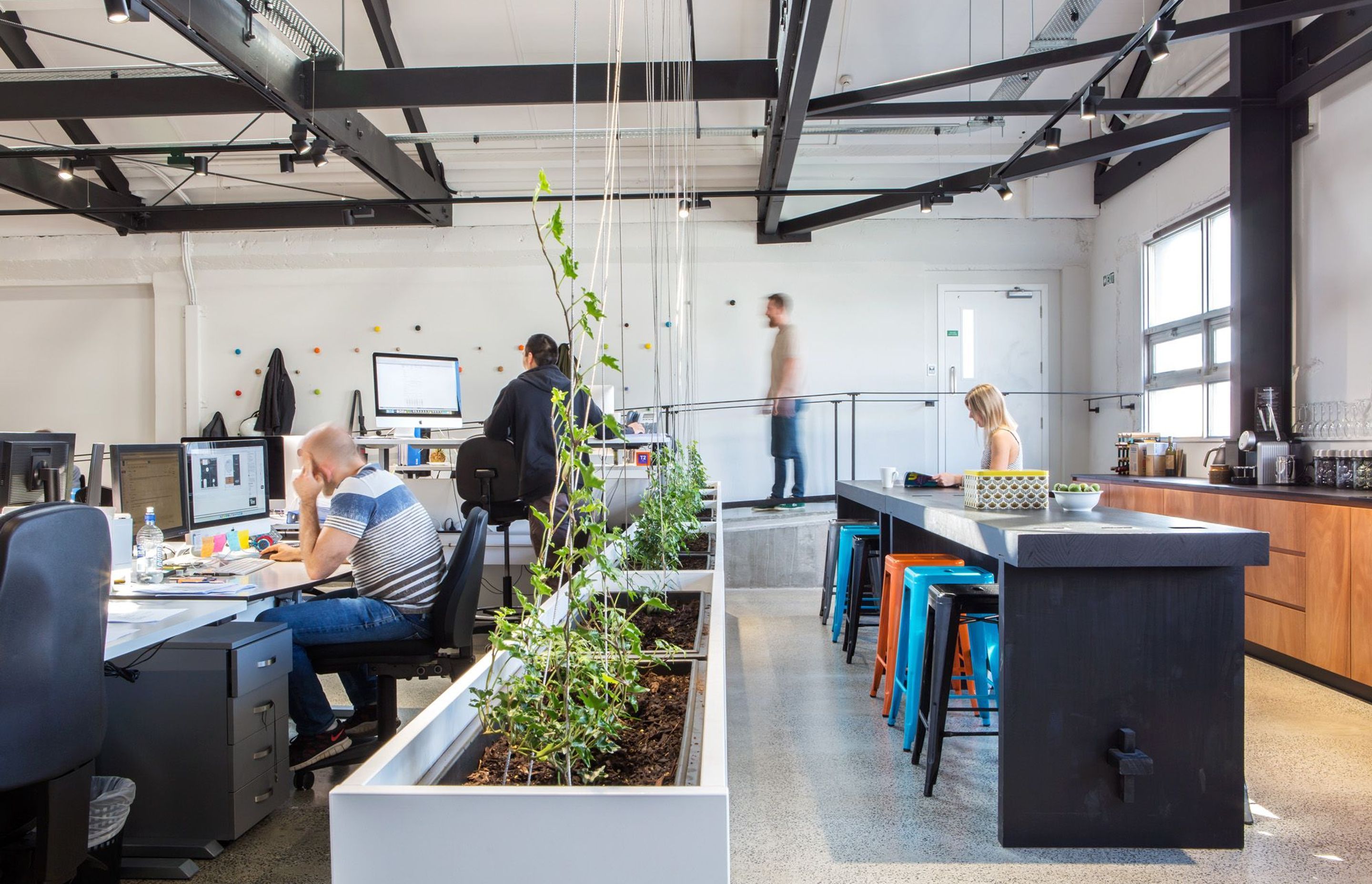 Box Office by Green Room Studio | ArchiPro NZ