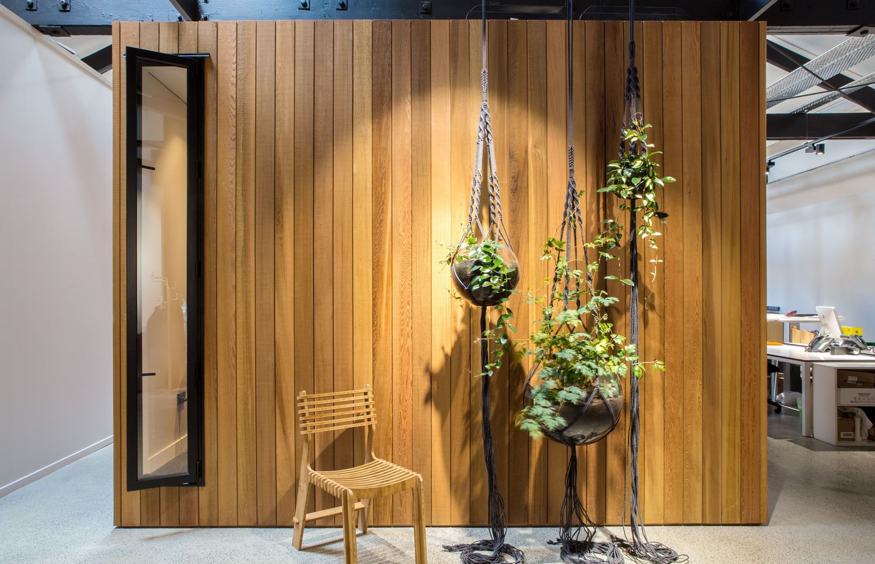 Box Office by Green Room Studio | ArchiPro NZ