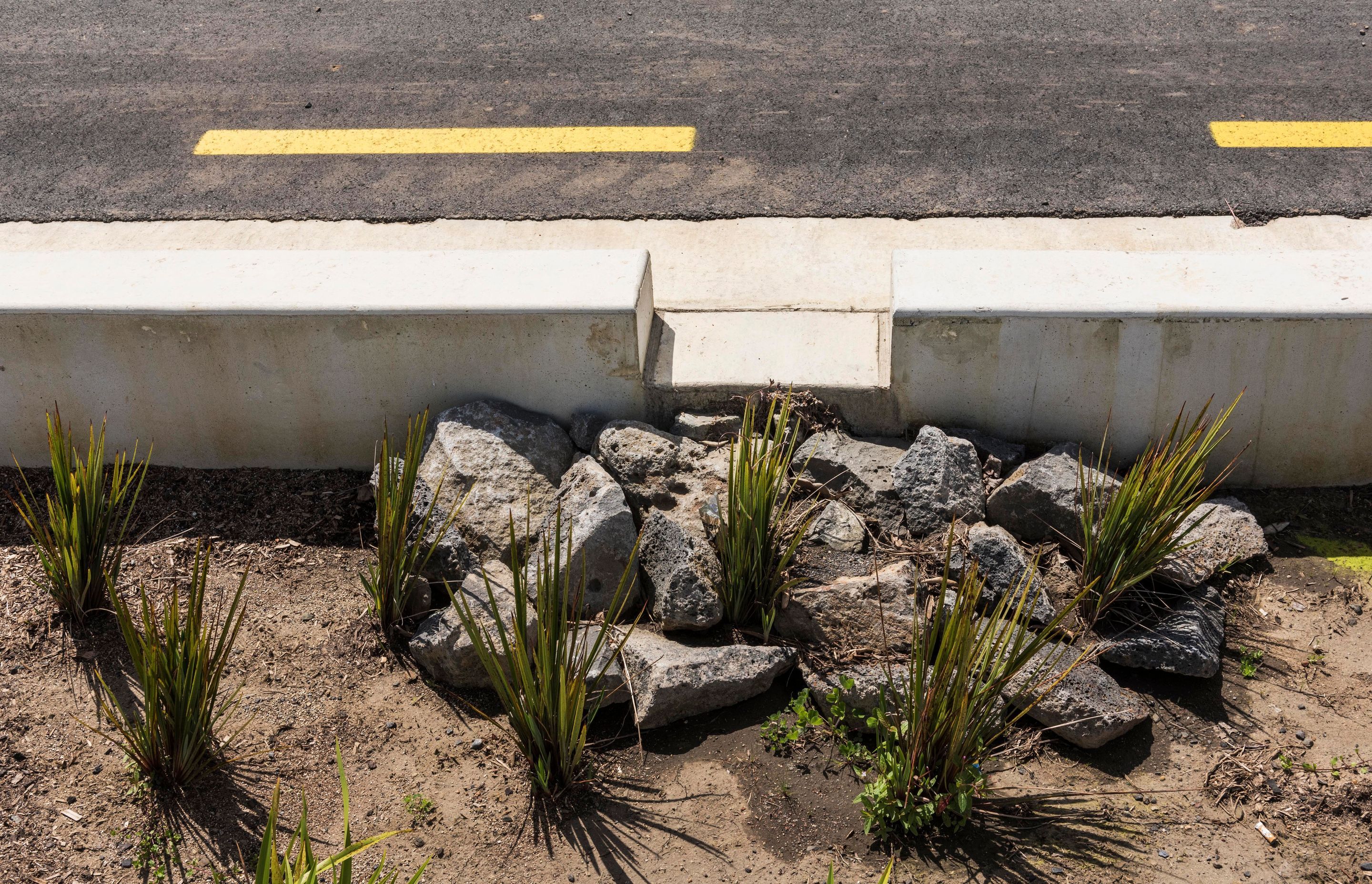 Civil - Tapuwae Way, Mangere Bridge by Engineering Design Consultants ...