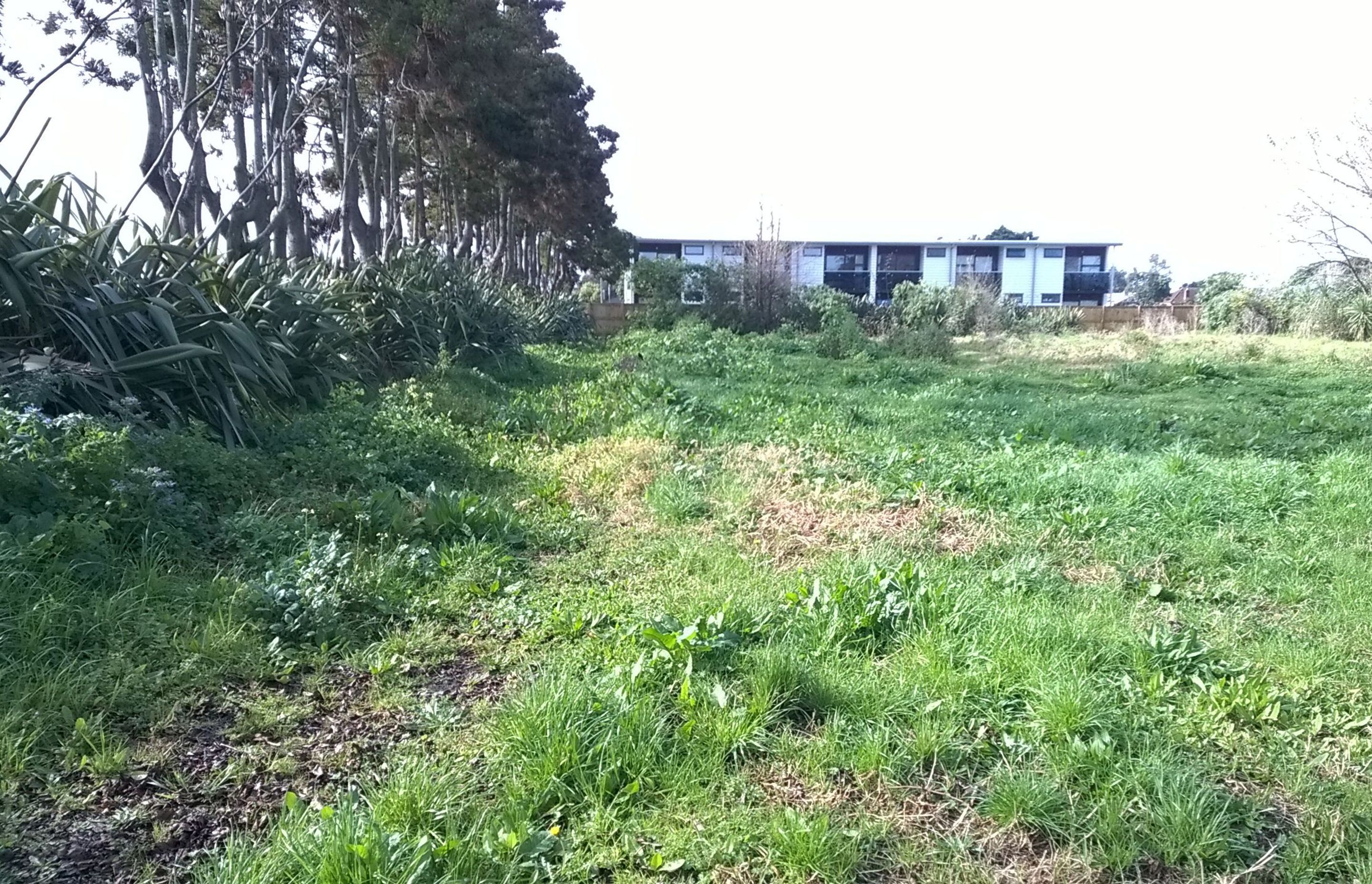 Civil - Tapuwae Way, Mangere Bridge by Engineering Design Consultants ...