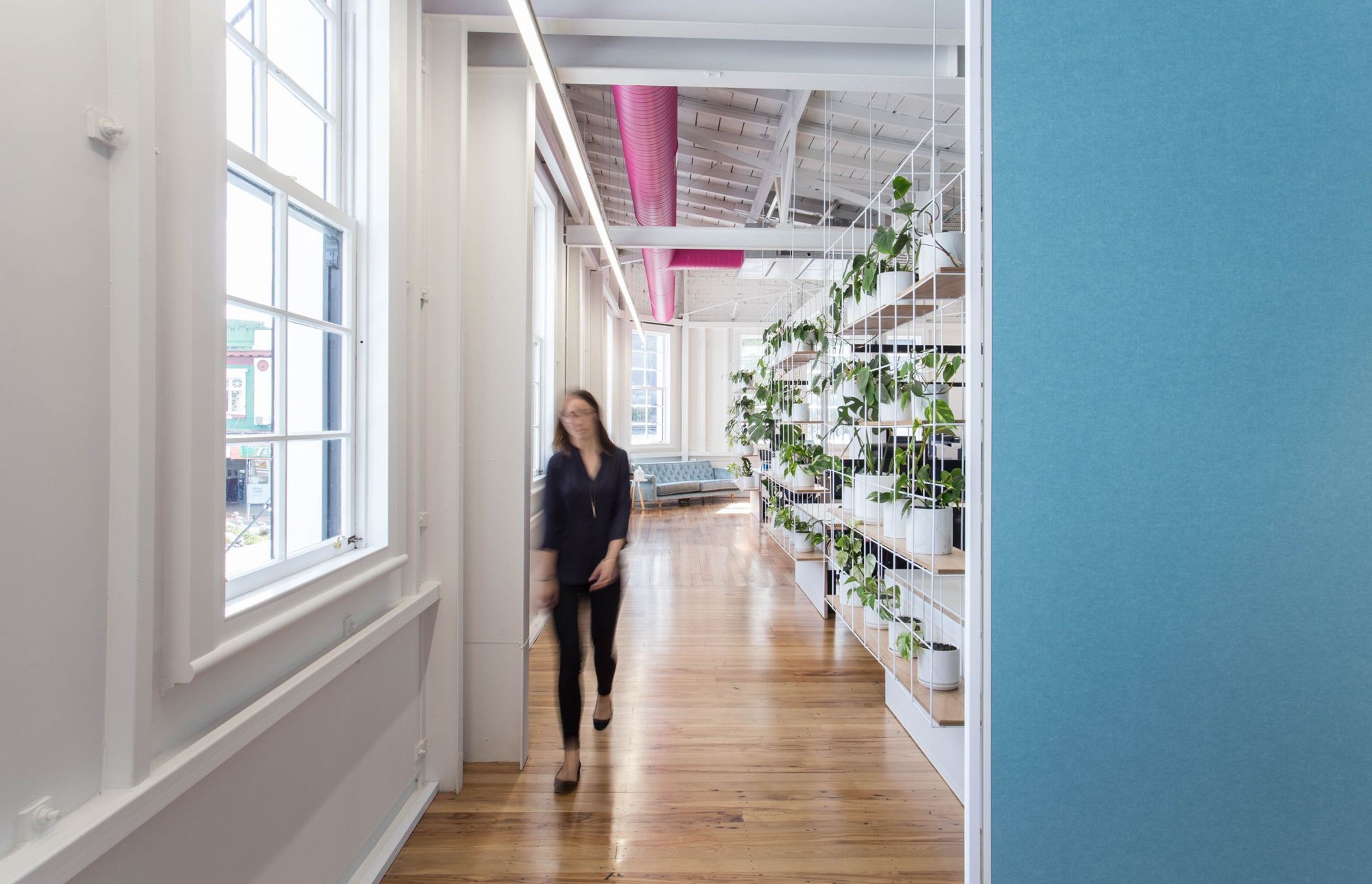 Dynamo 6 by Designwell | ArchiPro NZ