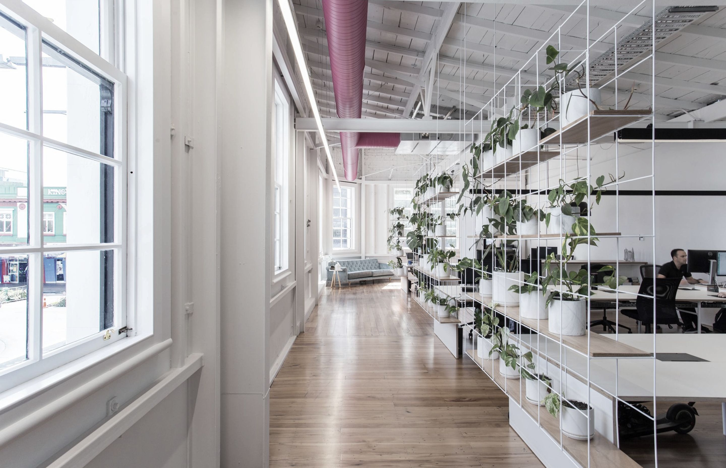 Dynamo 6 by Designwell | ArchiPro NZ