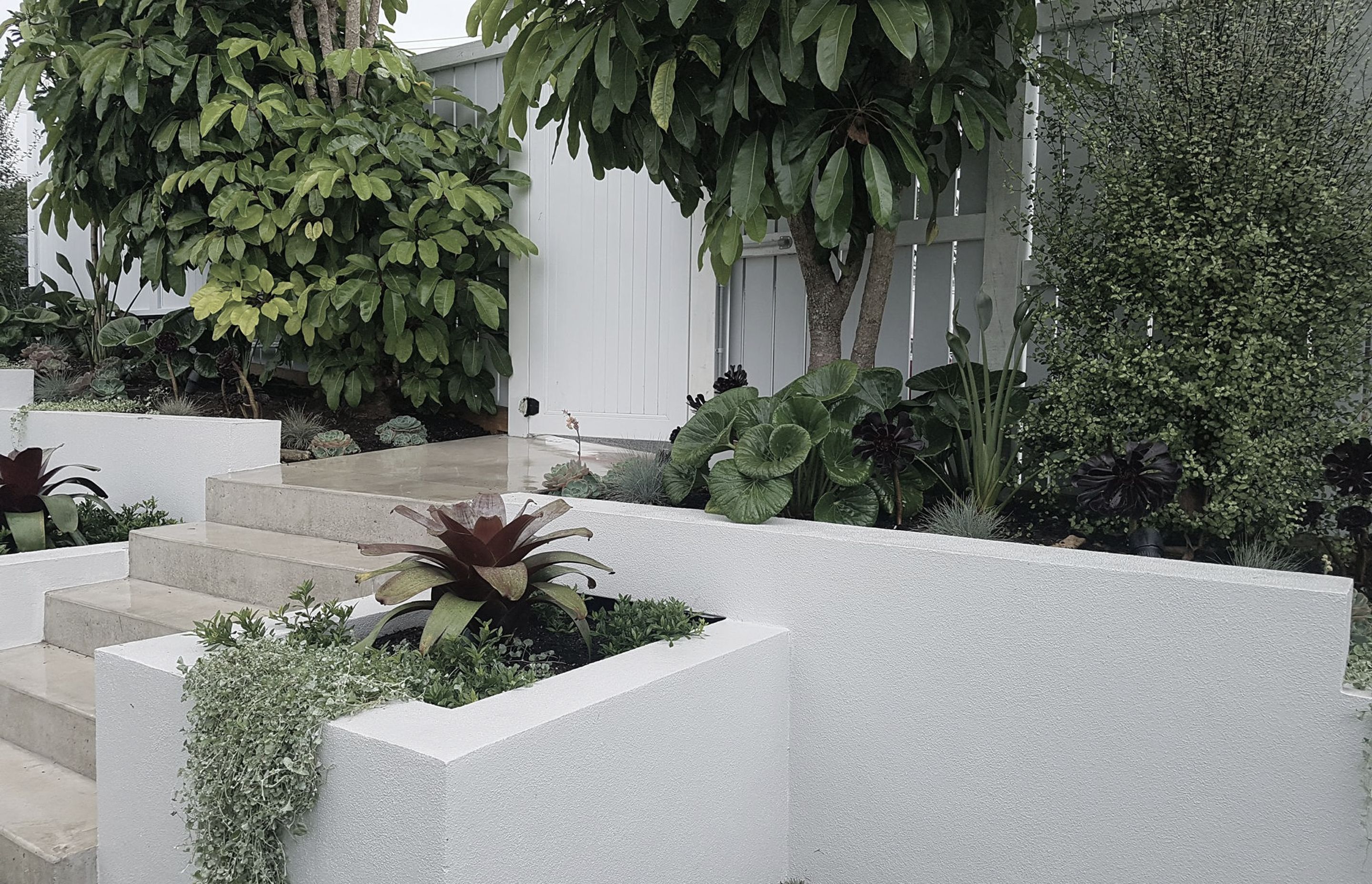 Koraha by Erin Farrow Landscapes | ArchiPro NZ