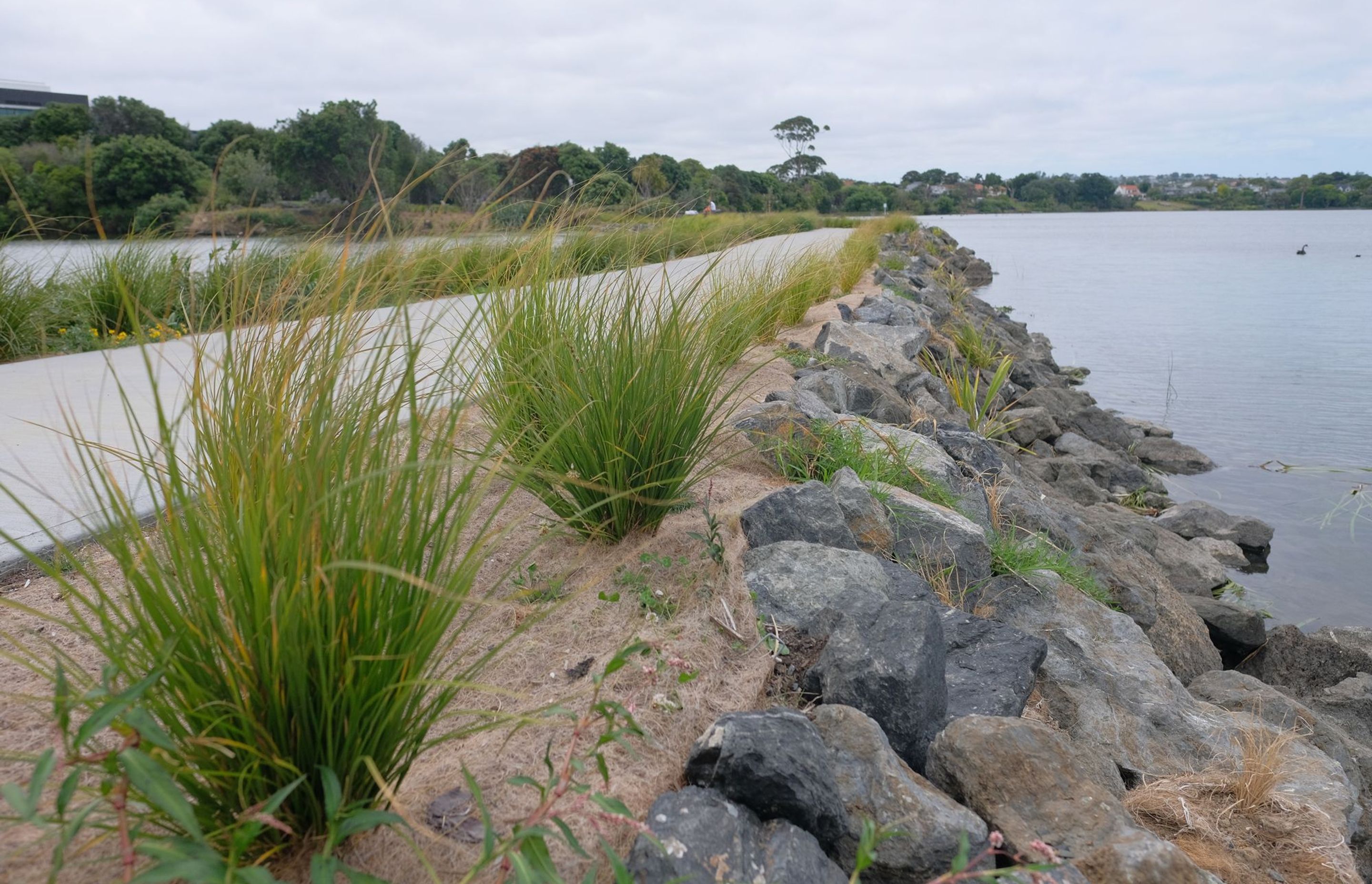 Lake Pupuke by AR & Associates | ArchiPro NZ